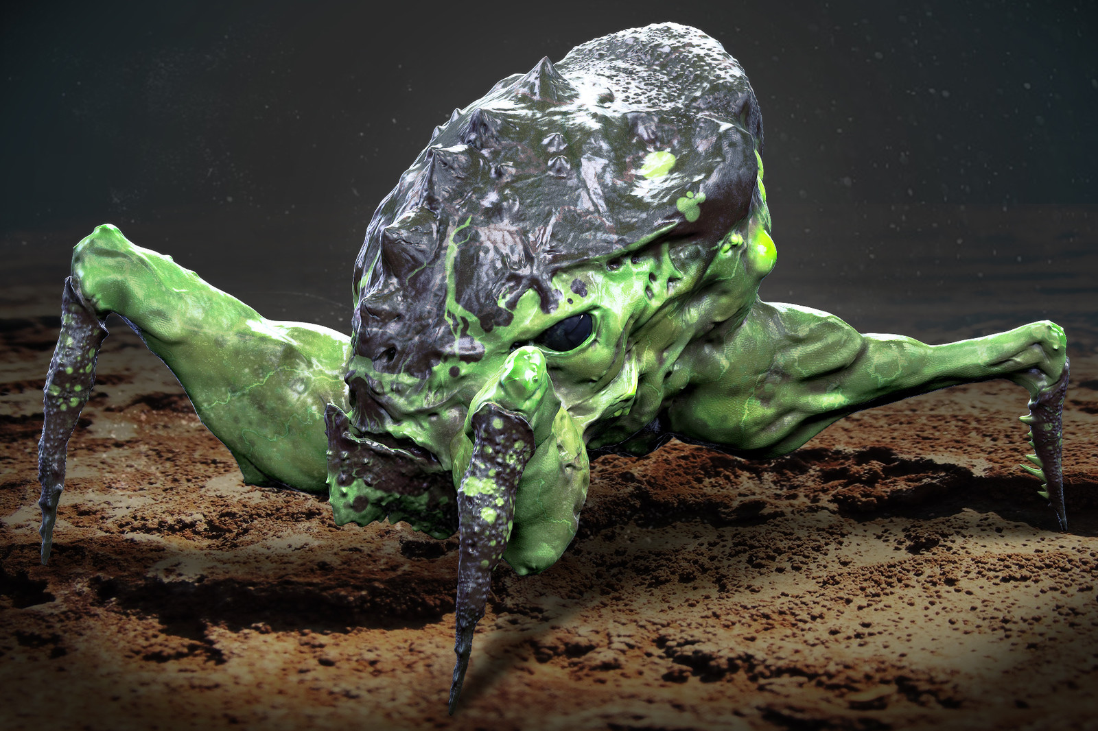 Oleksandr Shvydchenko - Alien insect