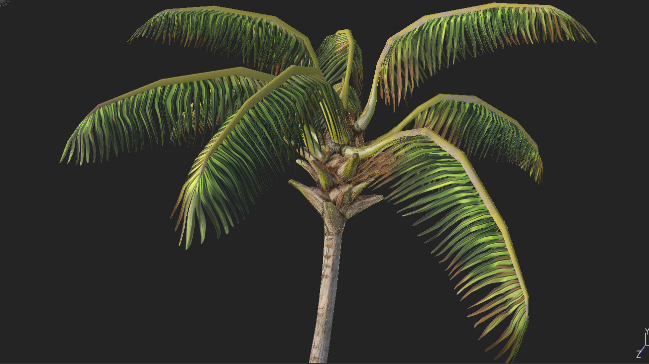 ArtStation - Coconut tree, Camille HOARAU