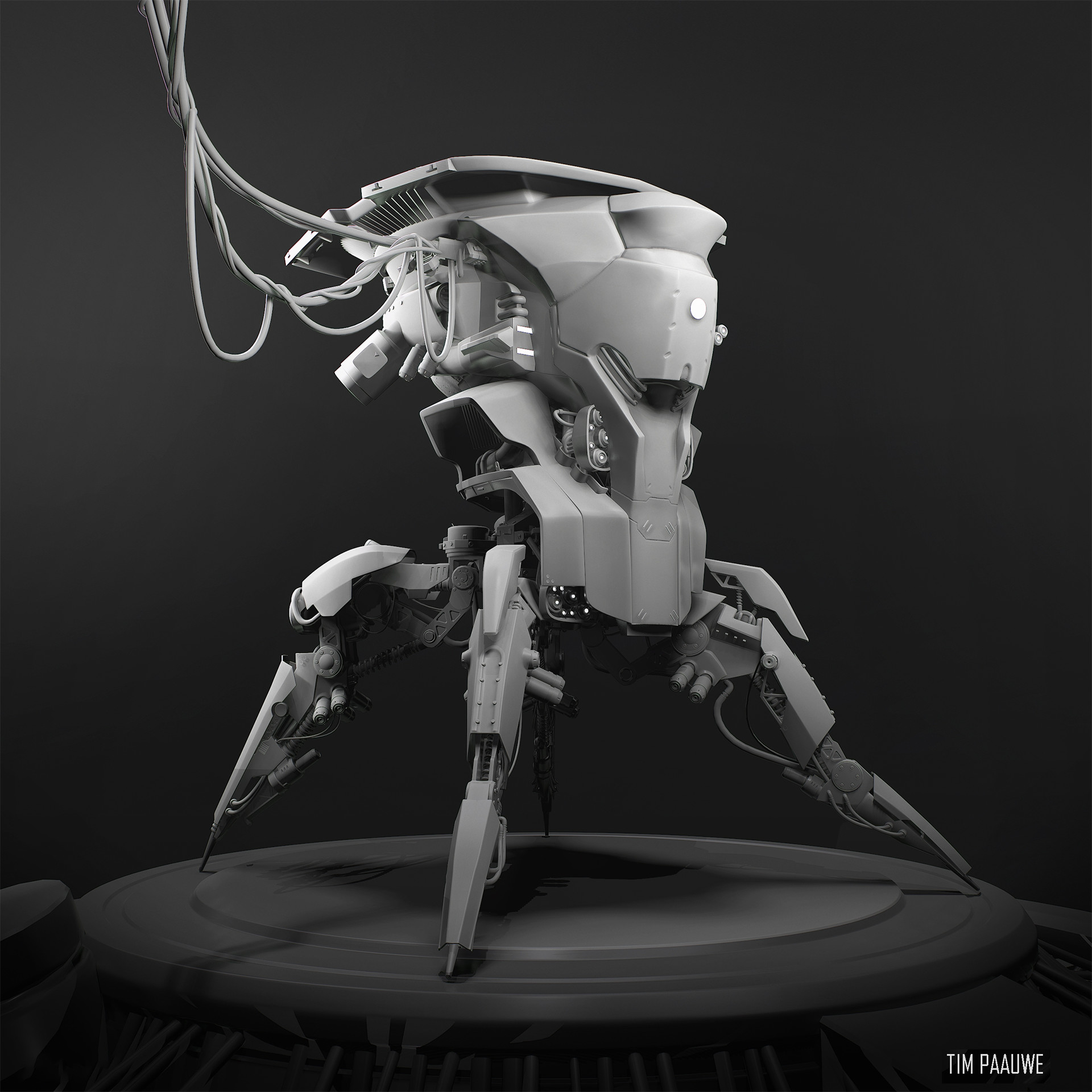 Tim Paauwe - Project: Peacekeeper