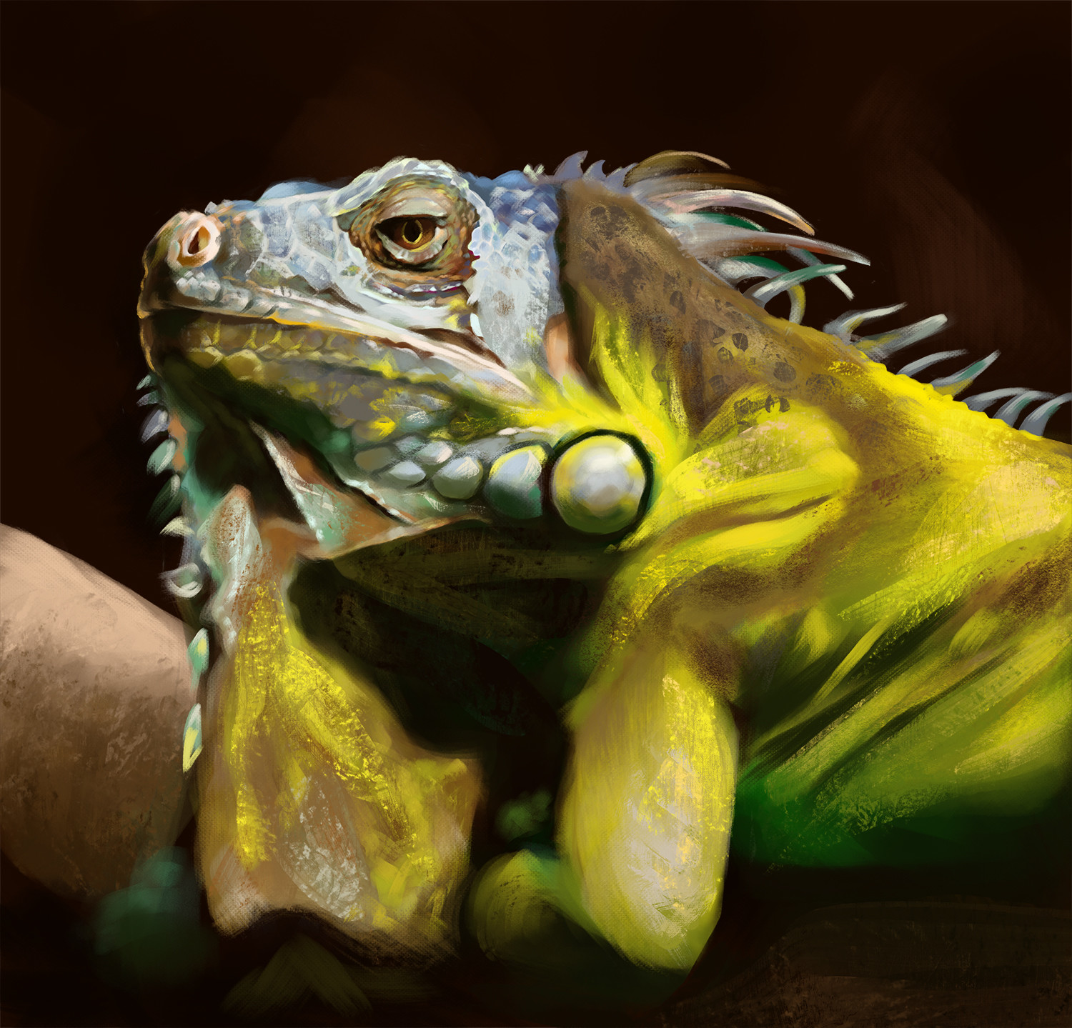 ArtStation - Iguana Study