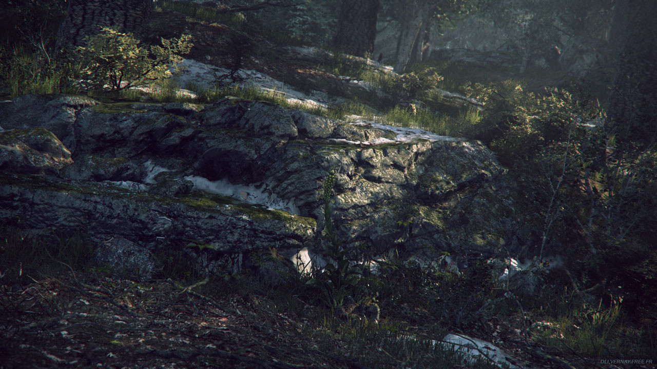 ArtStation - Star Wars The Old Republic trailer - forest tests