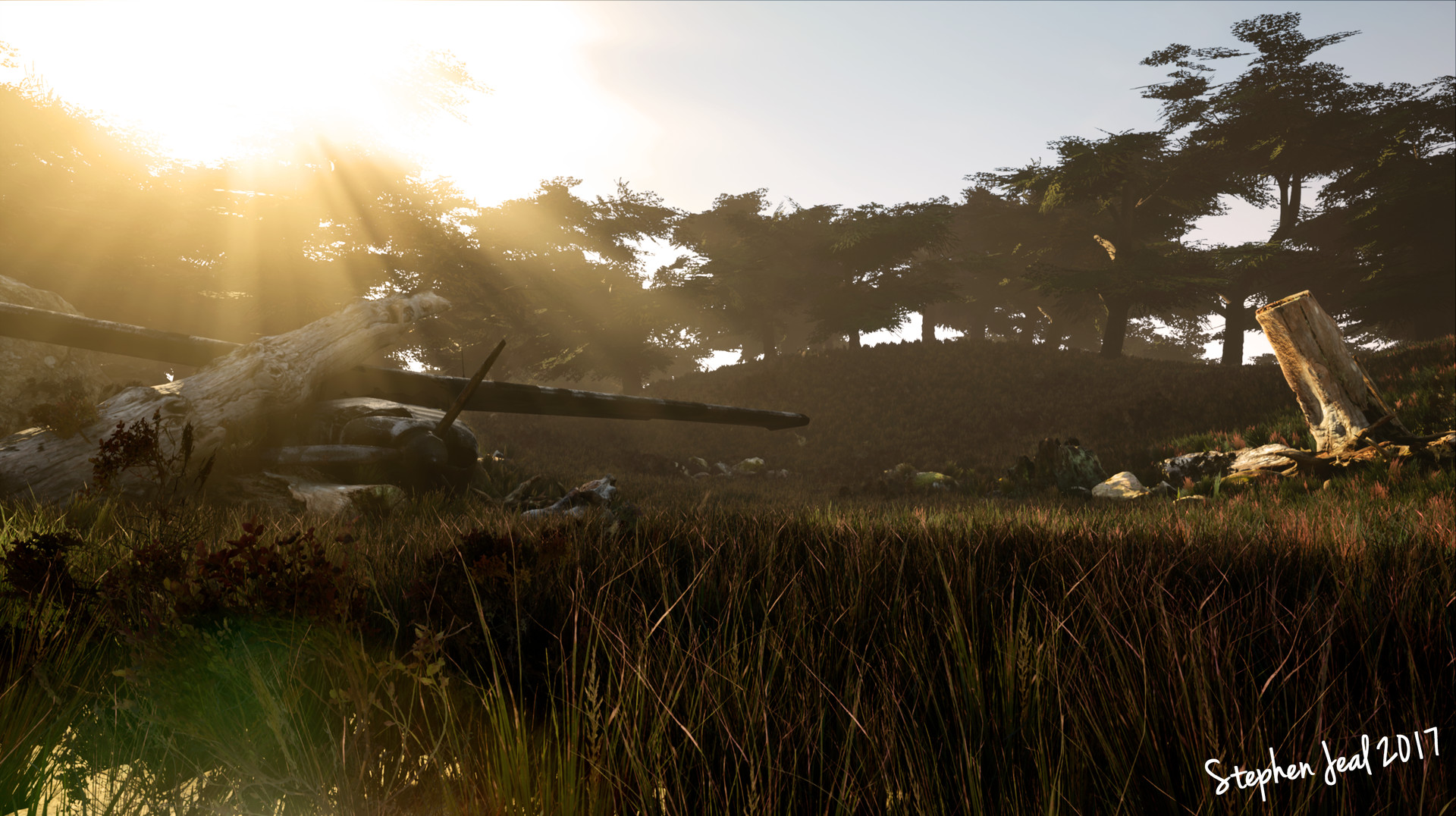 Stephen Jeal - UE4 MegaScans Scene