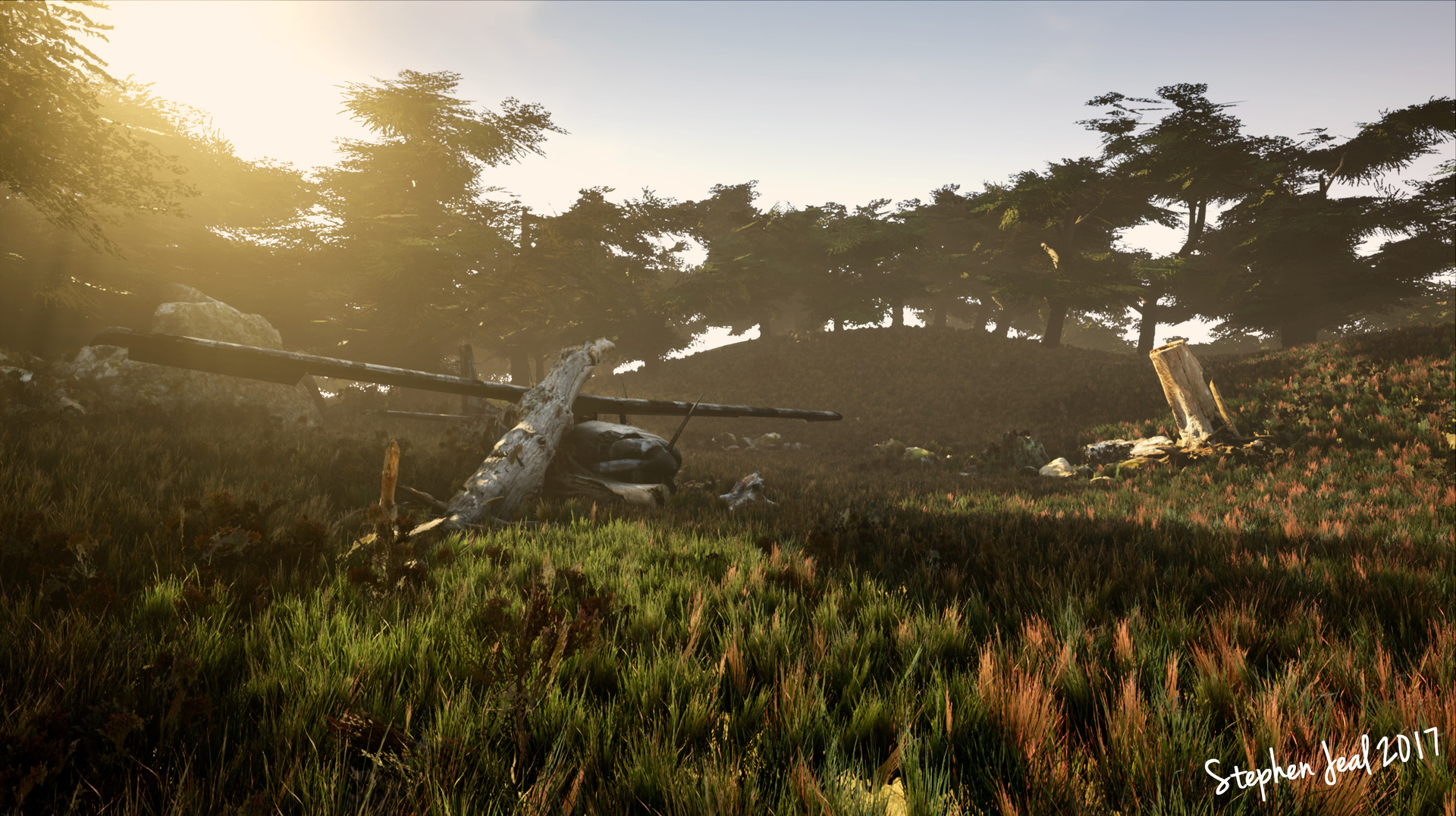 Stephen Jeal - UE4 MegaScans Scene