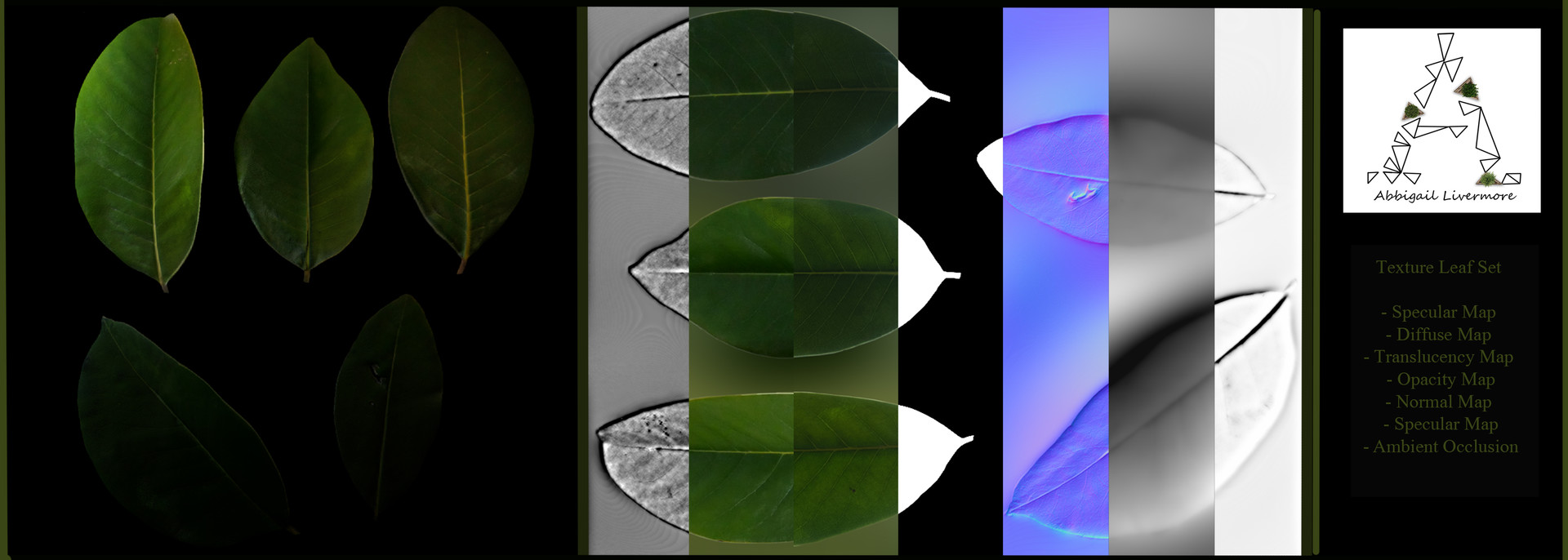 ArtStation - Leaf Texture Sets