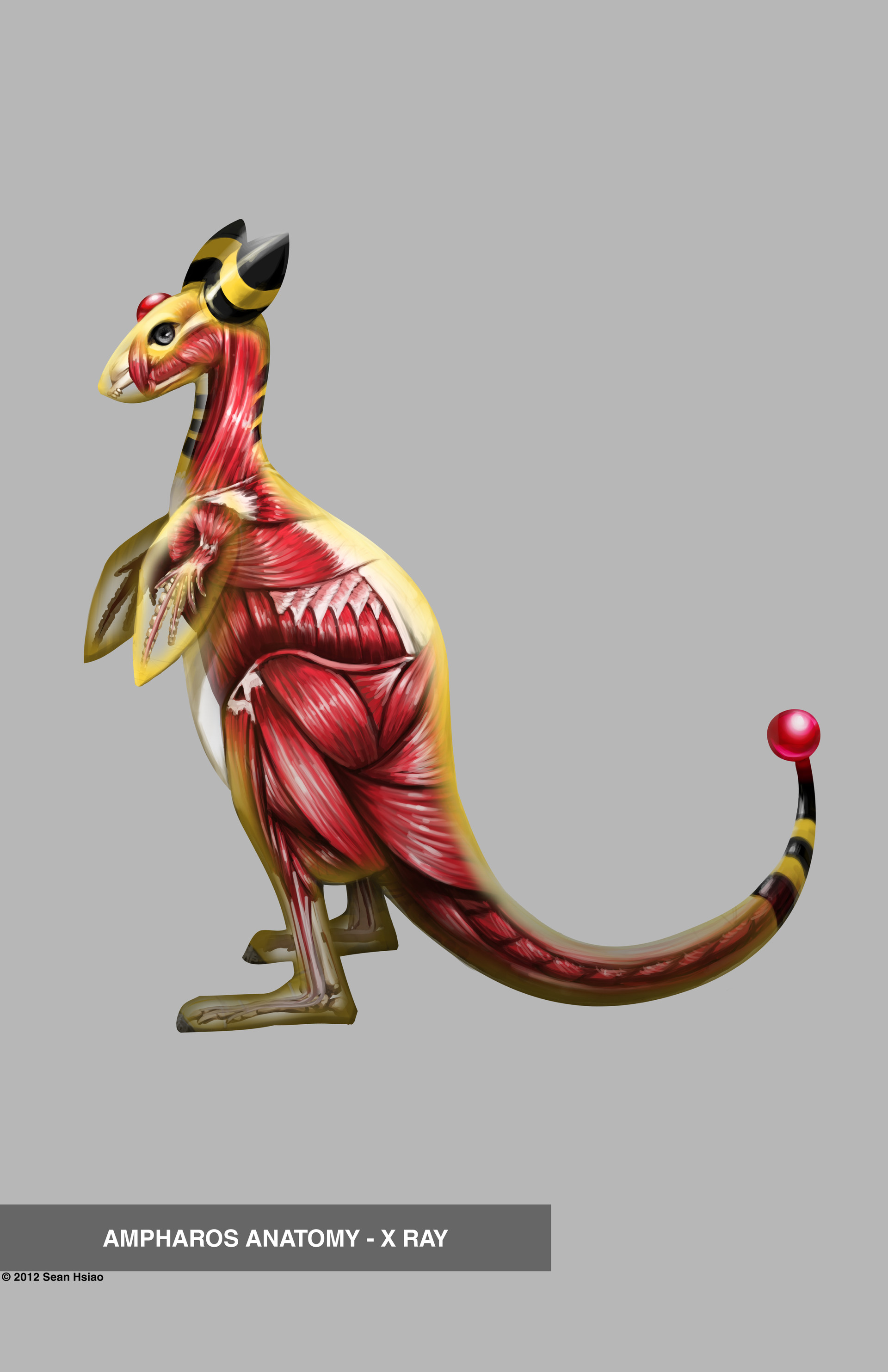 ArtStation - Ampharos Anatomy