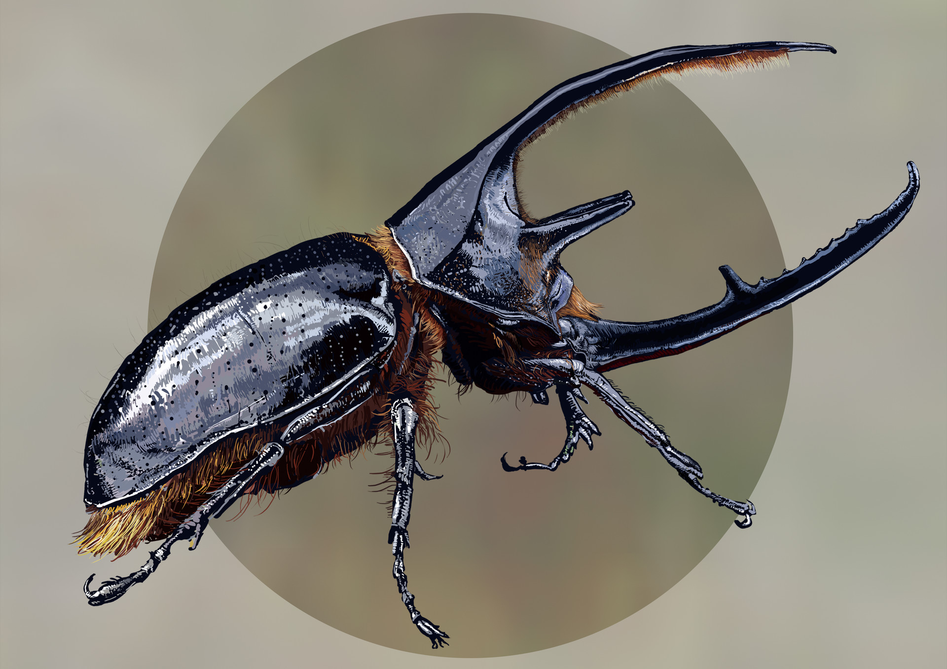 ArtStation - insect_1