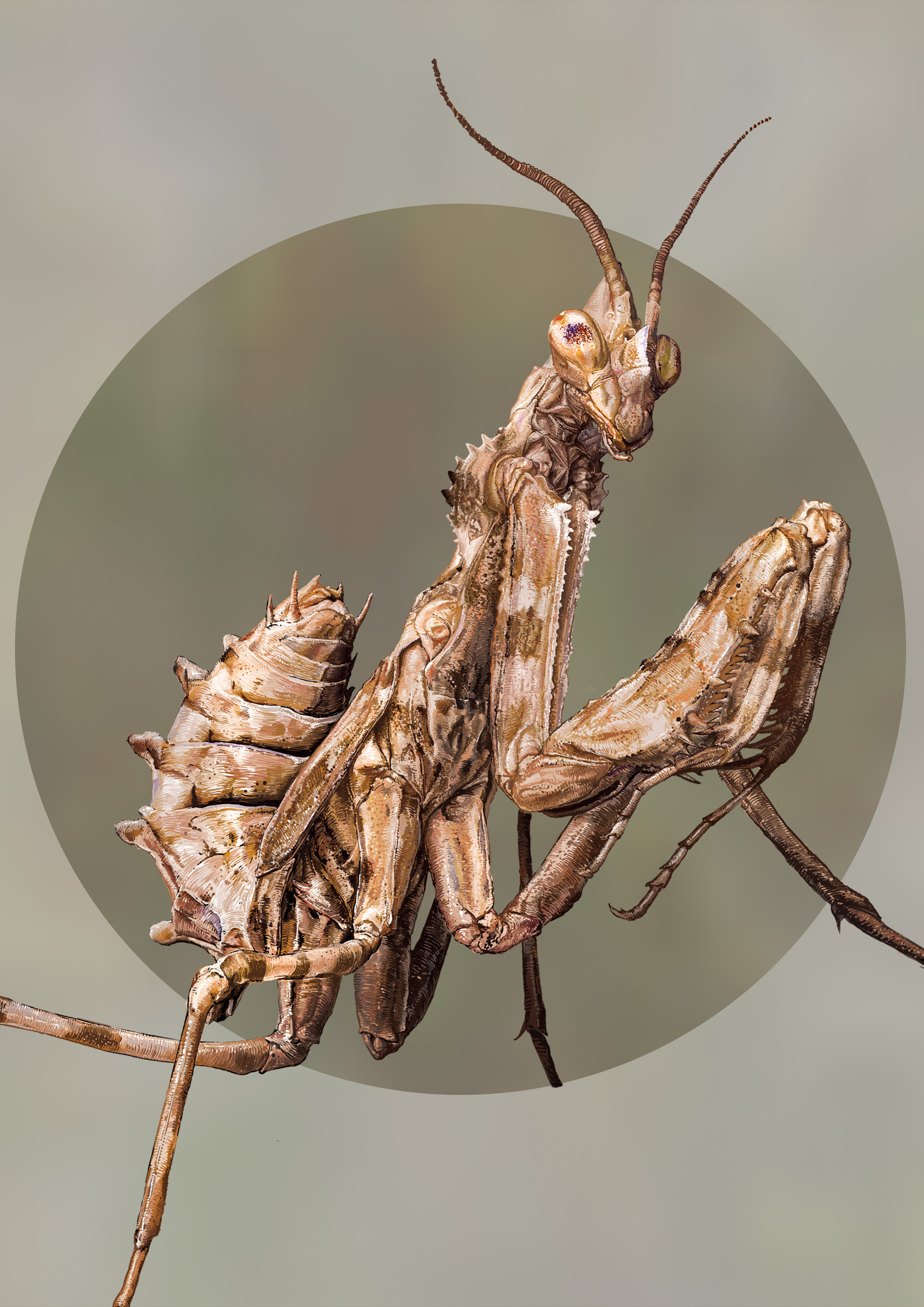 ArtStation - insect_3