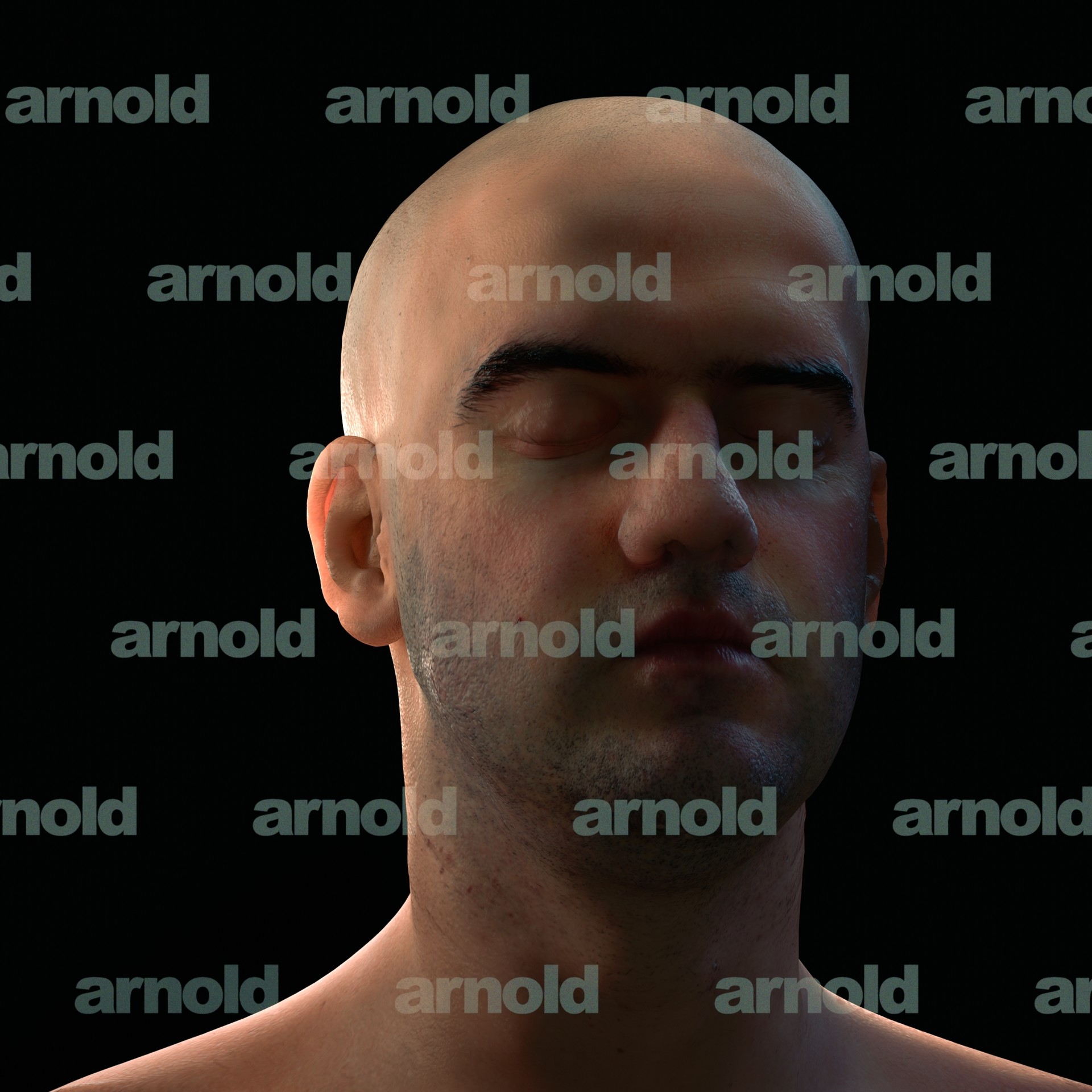 ArtStation - Study Face With SSS...