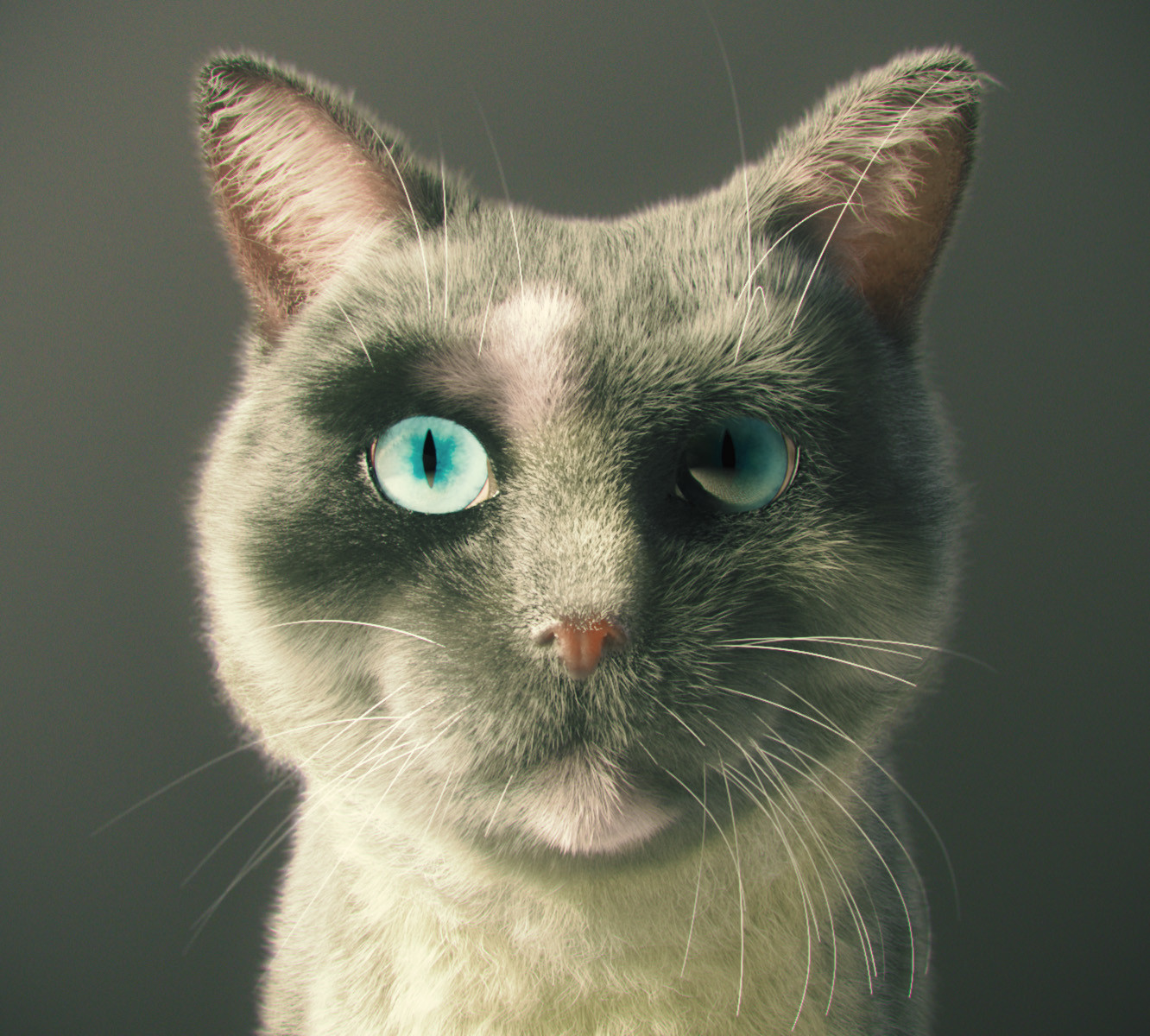 ArtStation - Cat Project