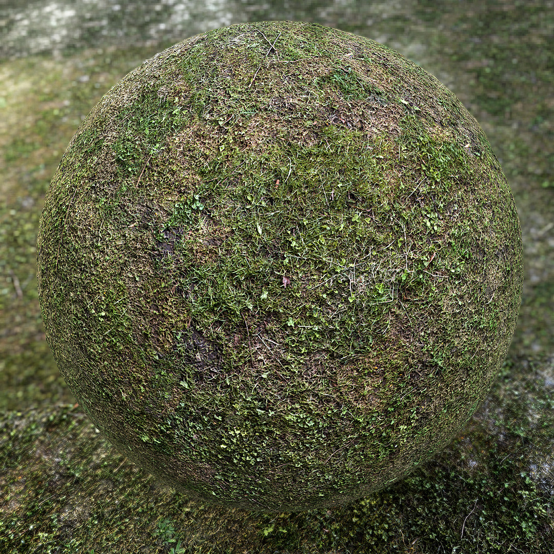 ArtStation - Grass - Photogrammetry based Environment Texture