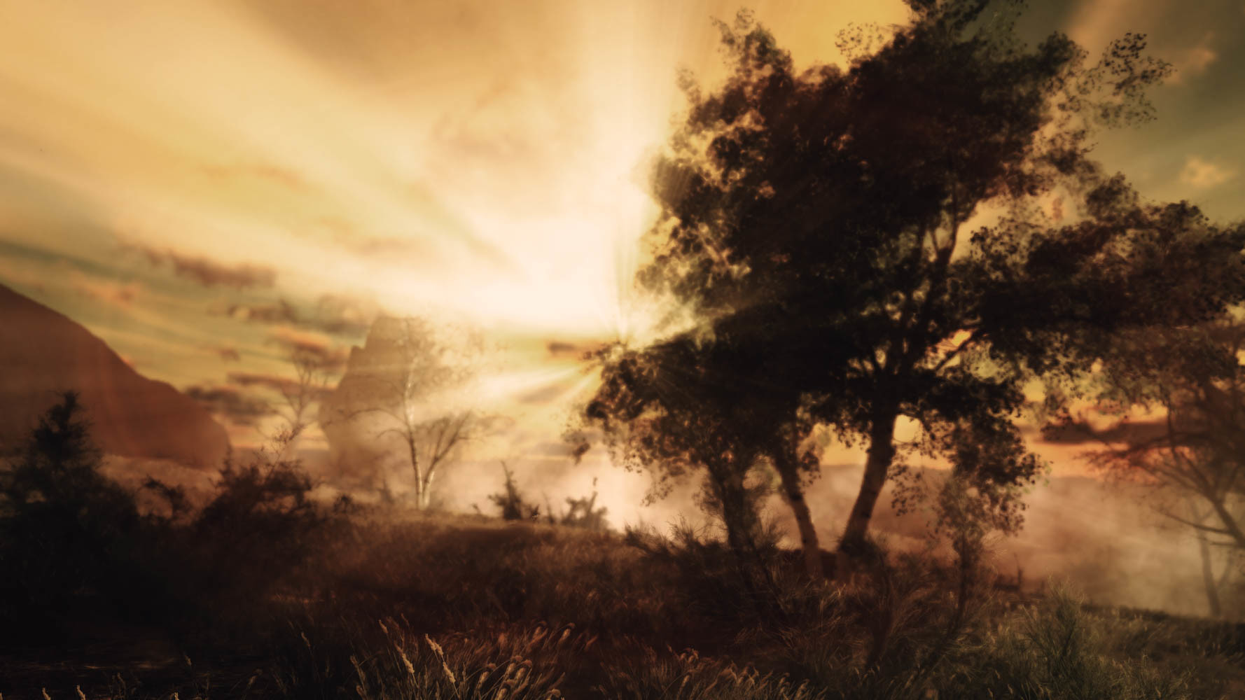 Emrecan Cubukcu - Real-time Nature Documentary Made With UNITY