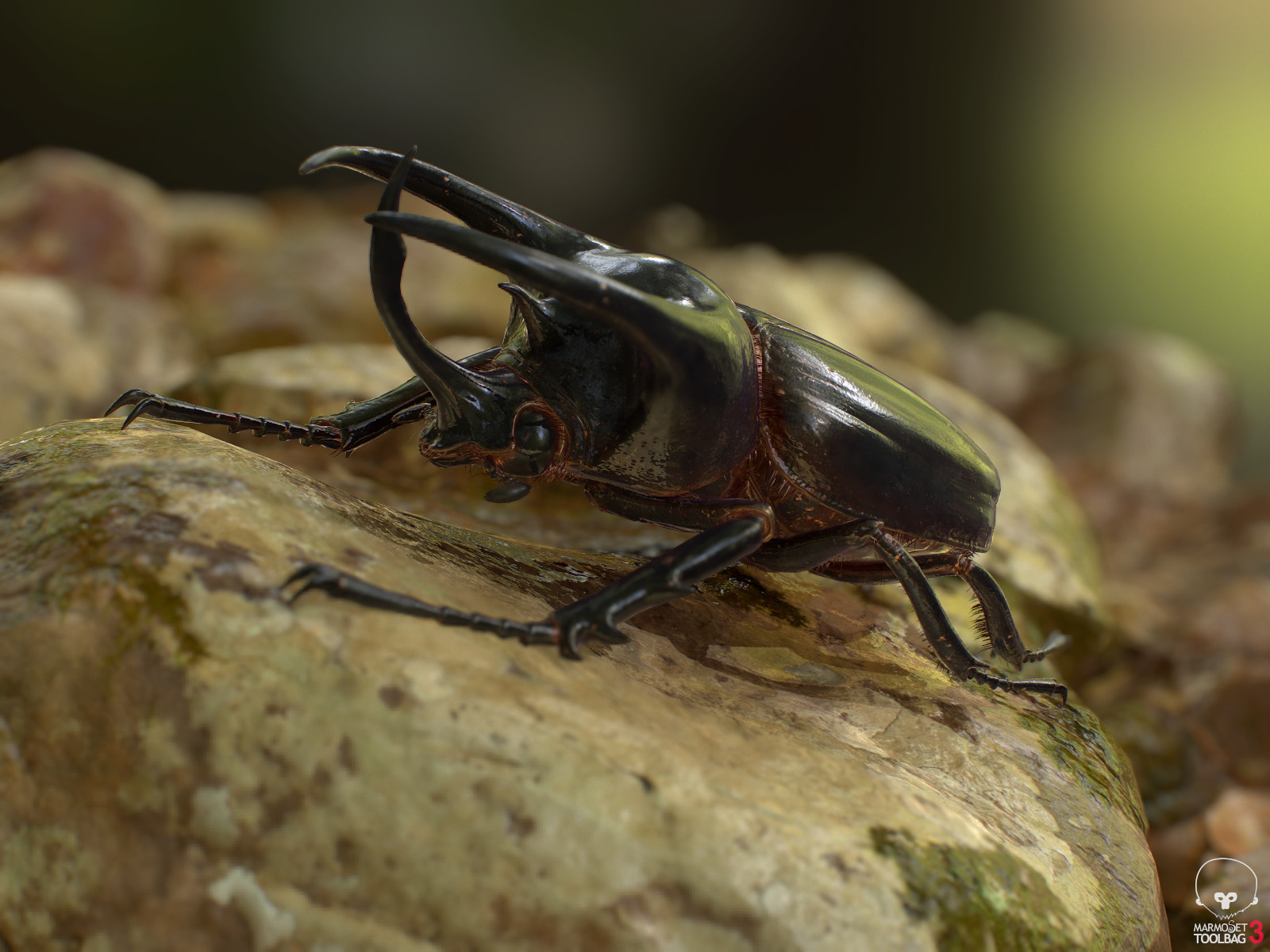 ArtStation - Atlas Beetle