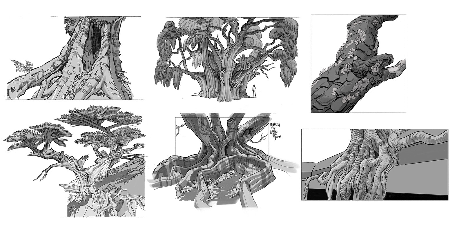 ArtStation - Tree Studies