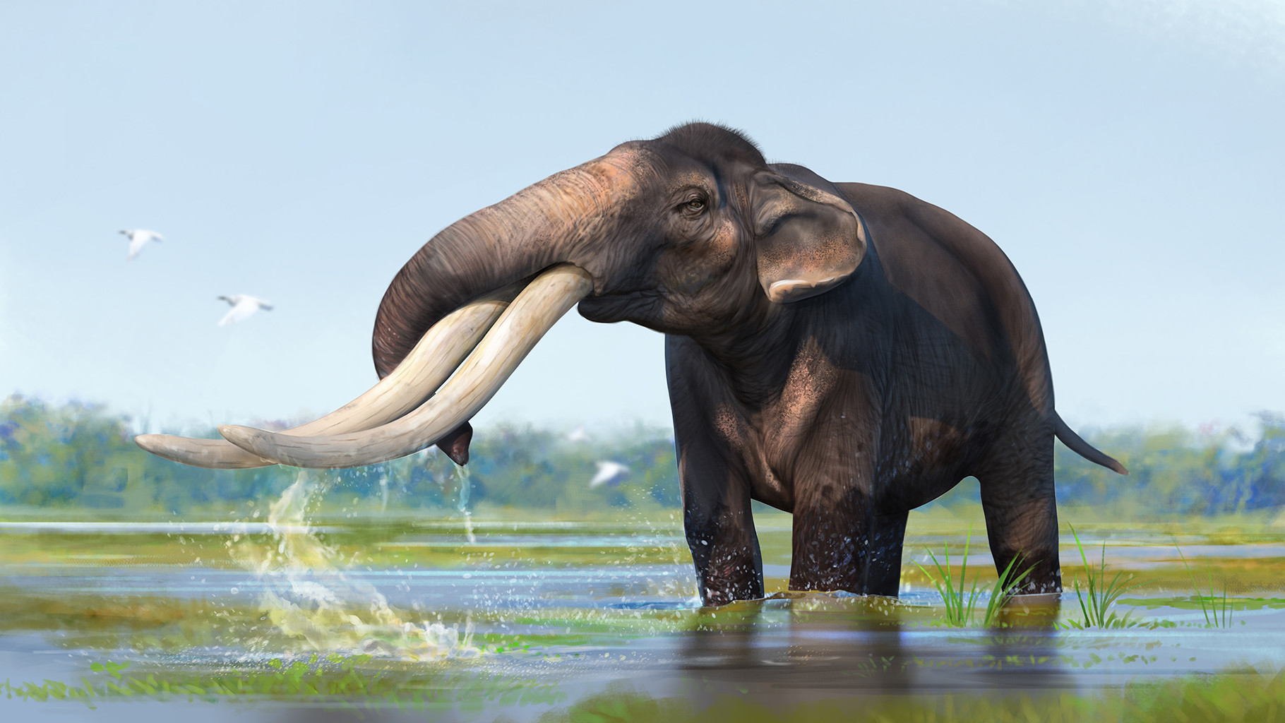 ArtStation - Reconstruction of a Stegodon