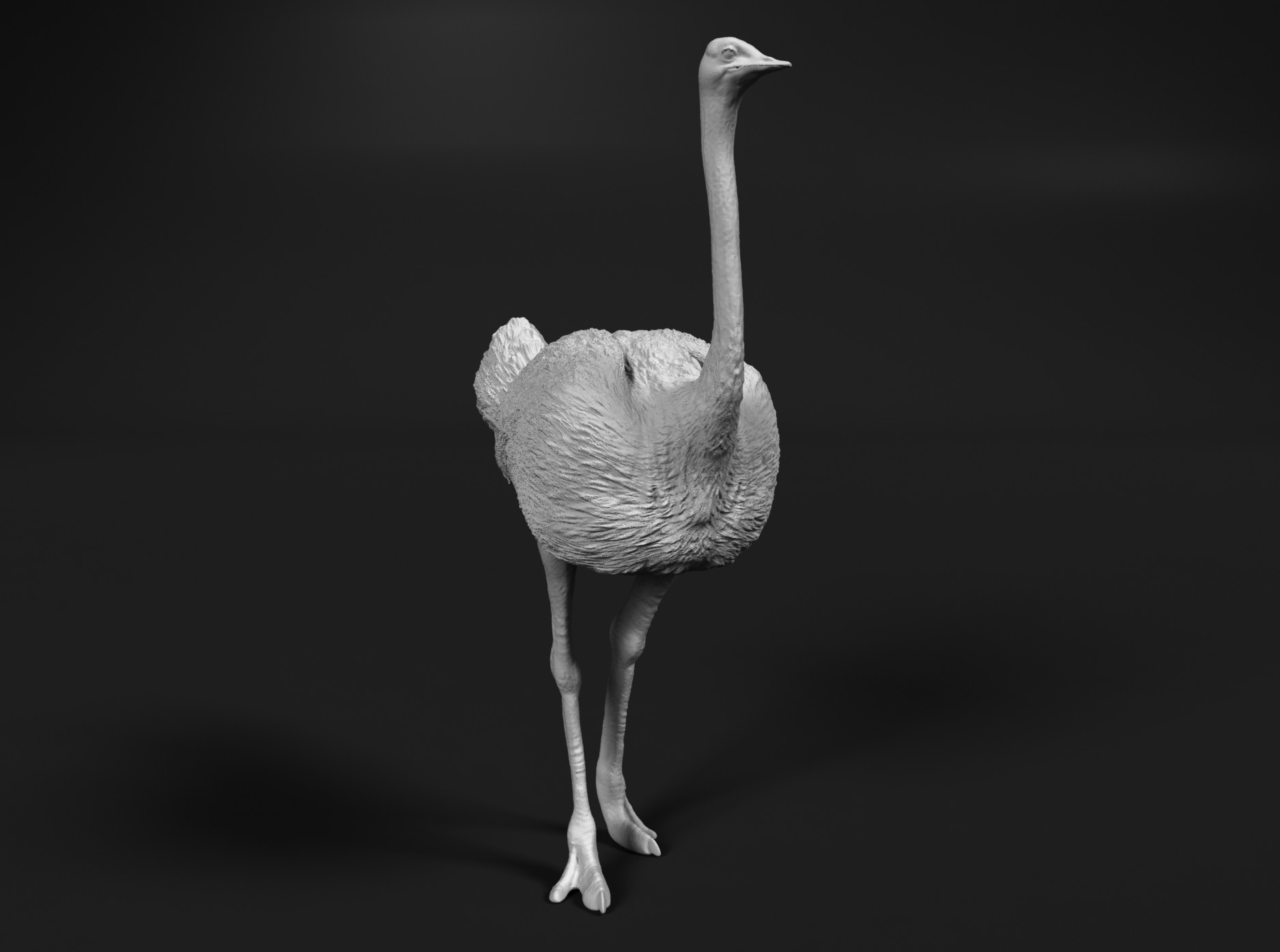 ArtStation - Ostrich - Standing Calm