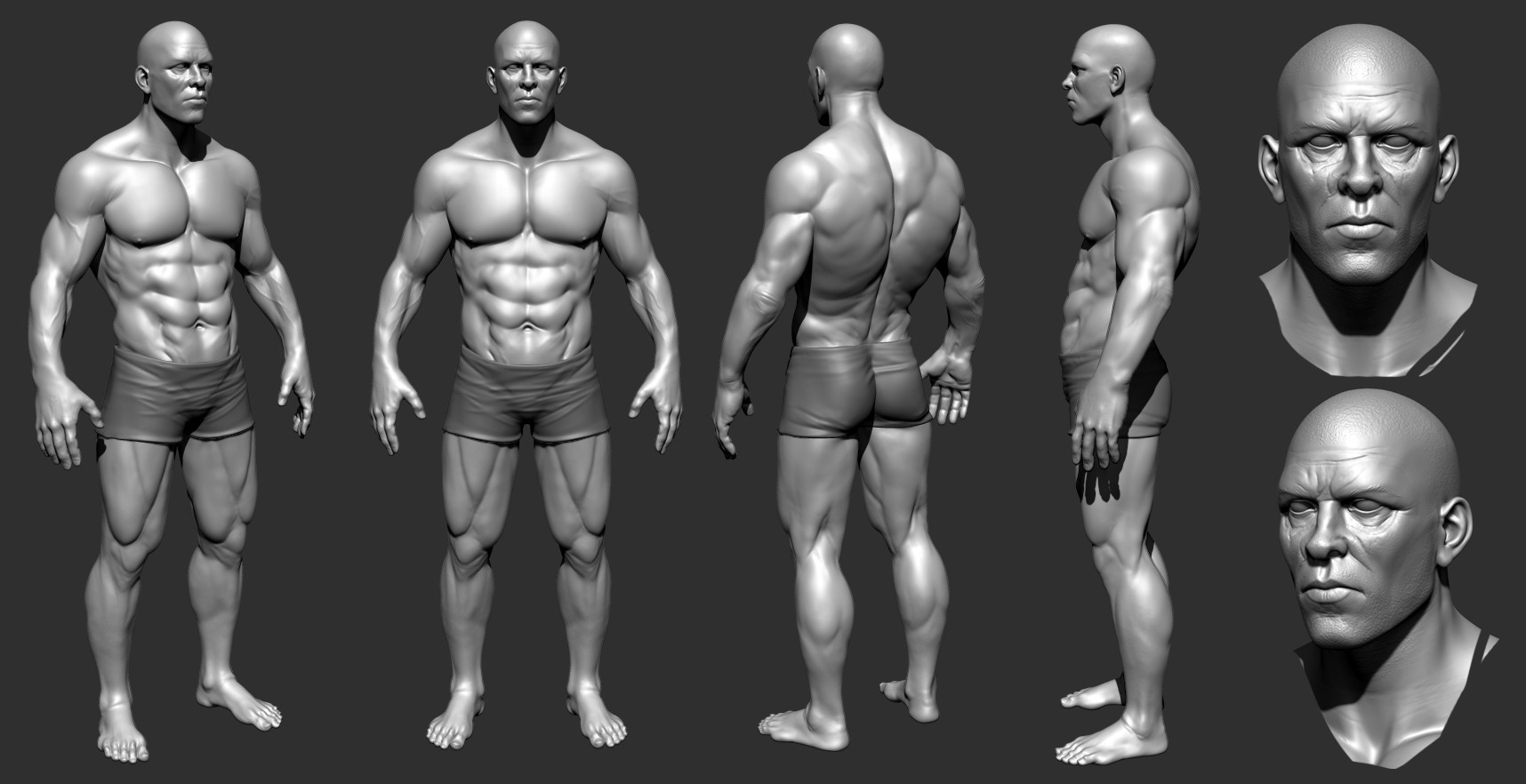 ArtStation - Male Anatomy Study