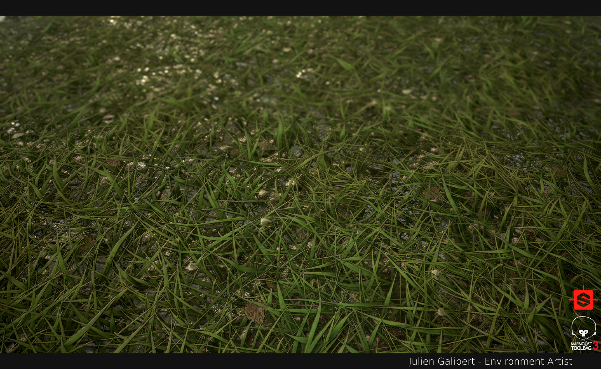 Julien Galibert - Procedural grass Substance Designer