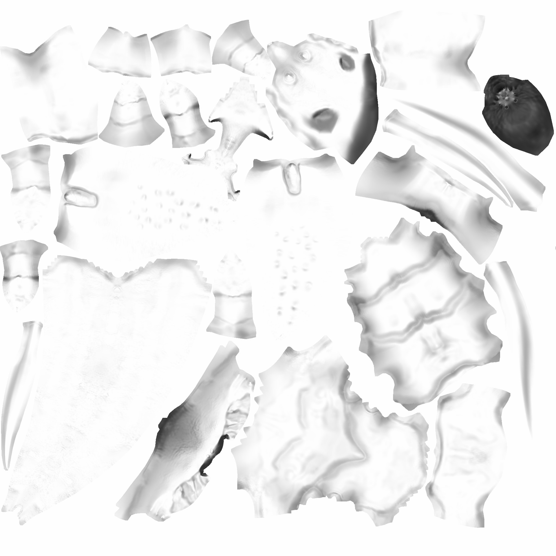 Nicholas Galbraith - Dweller