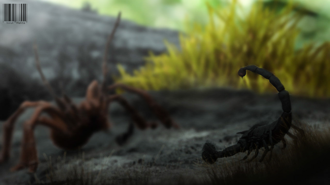 ArtStation - tarantula vs scorpion