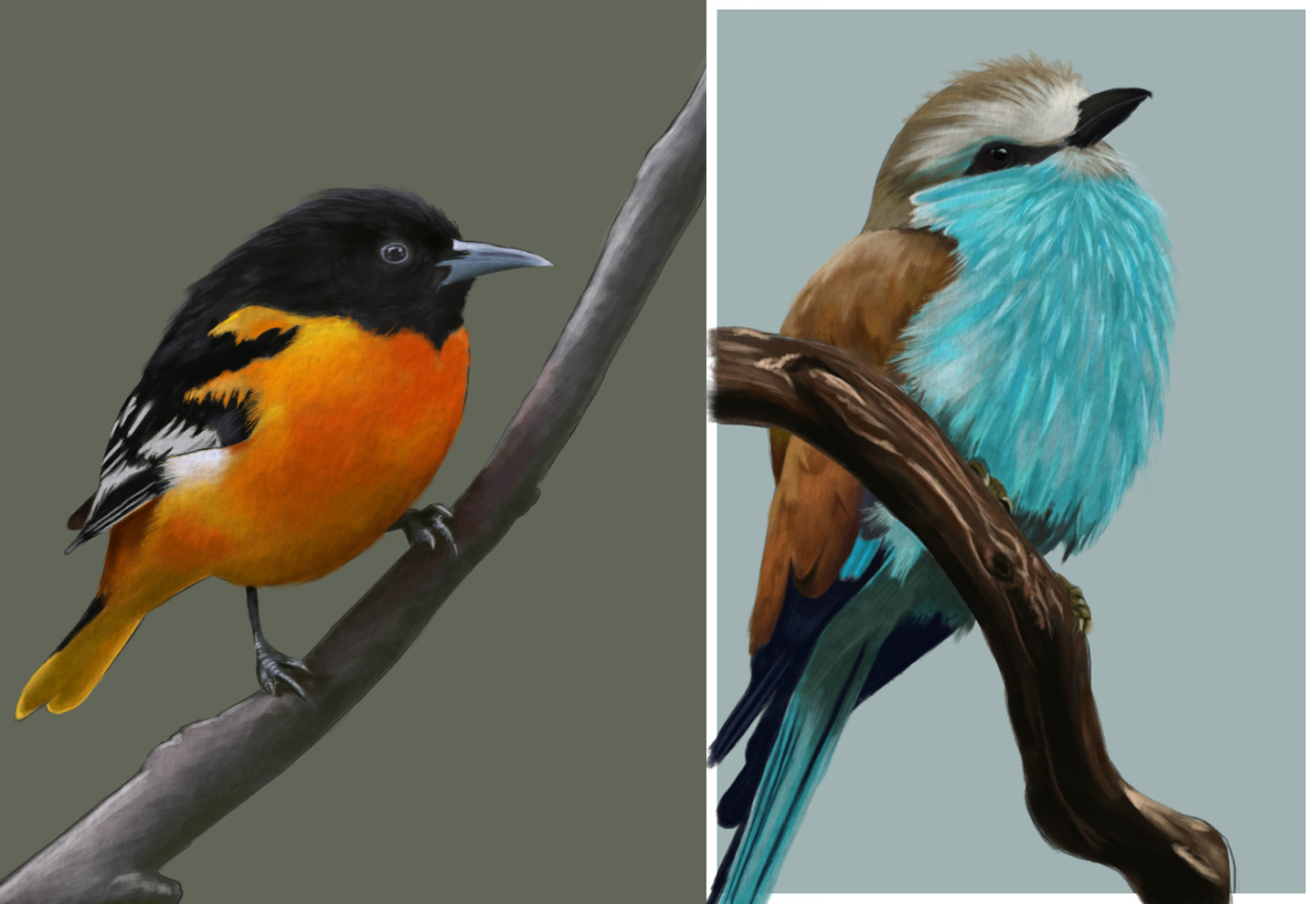 ArtStation - July studies, Ania Remlein