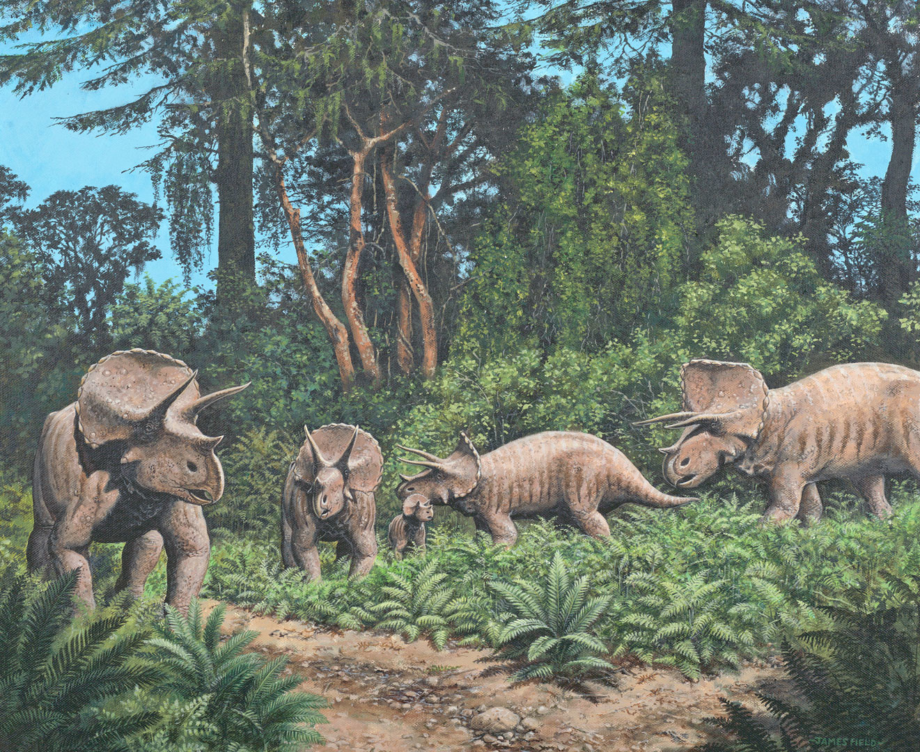 ArtStation - Triceratops