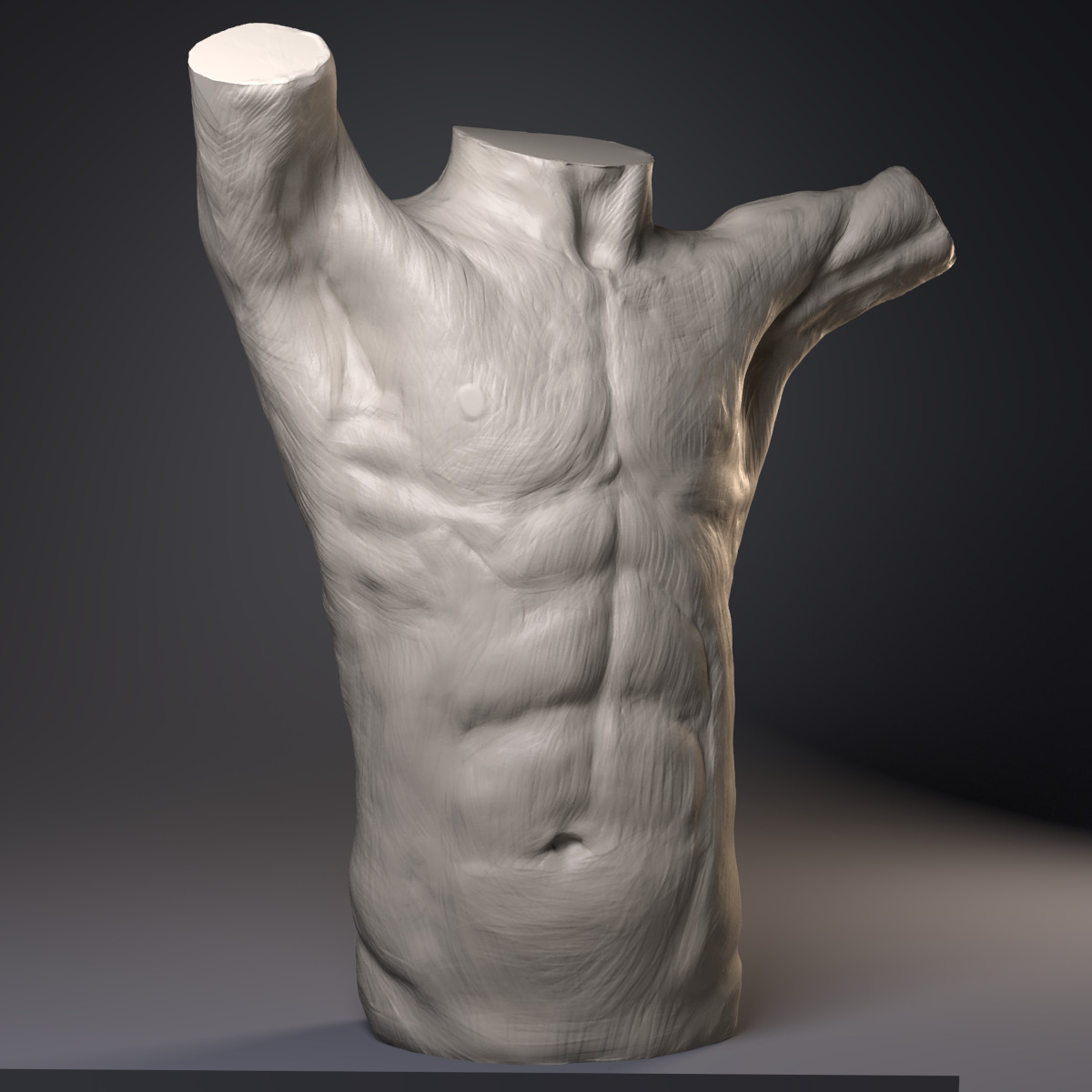 ArtStation - Torso