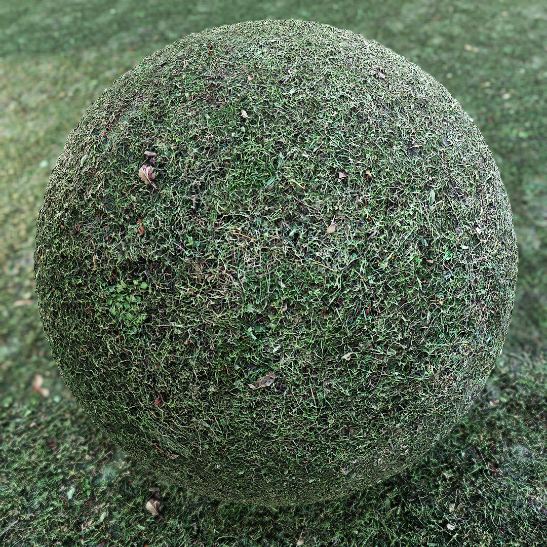 ArtStation - Grass - Photogrammetry based Environment Texture