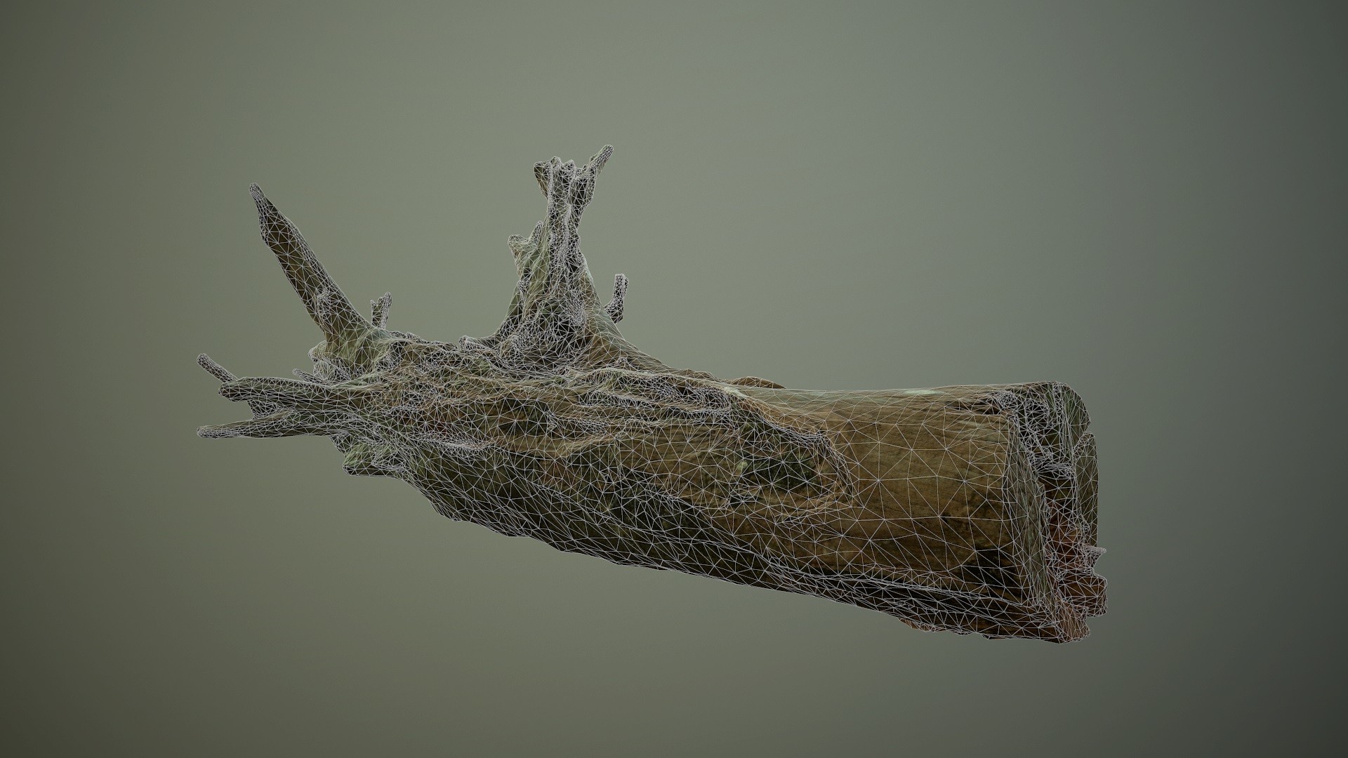 Environments - Quixel Scan-data Study