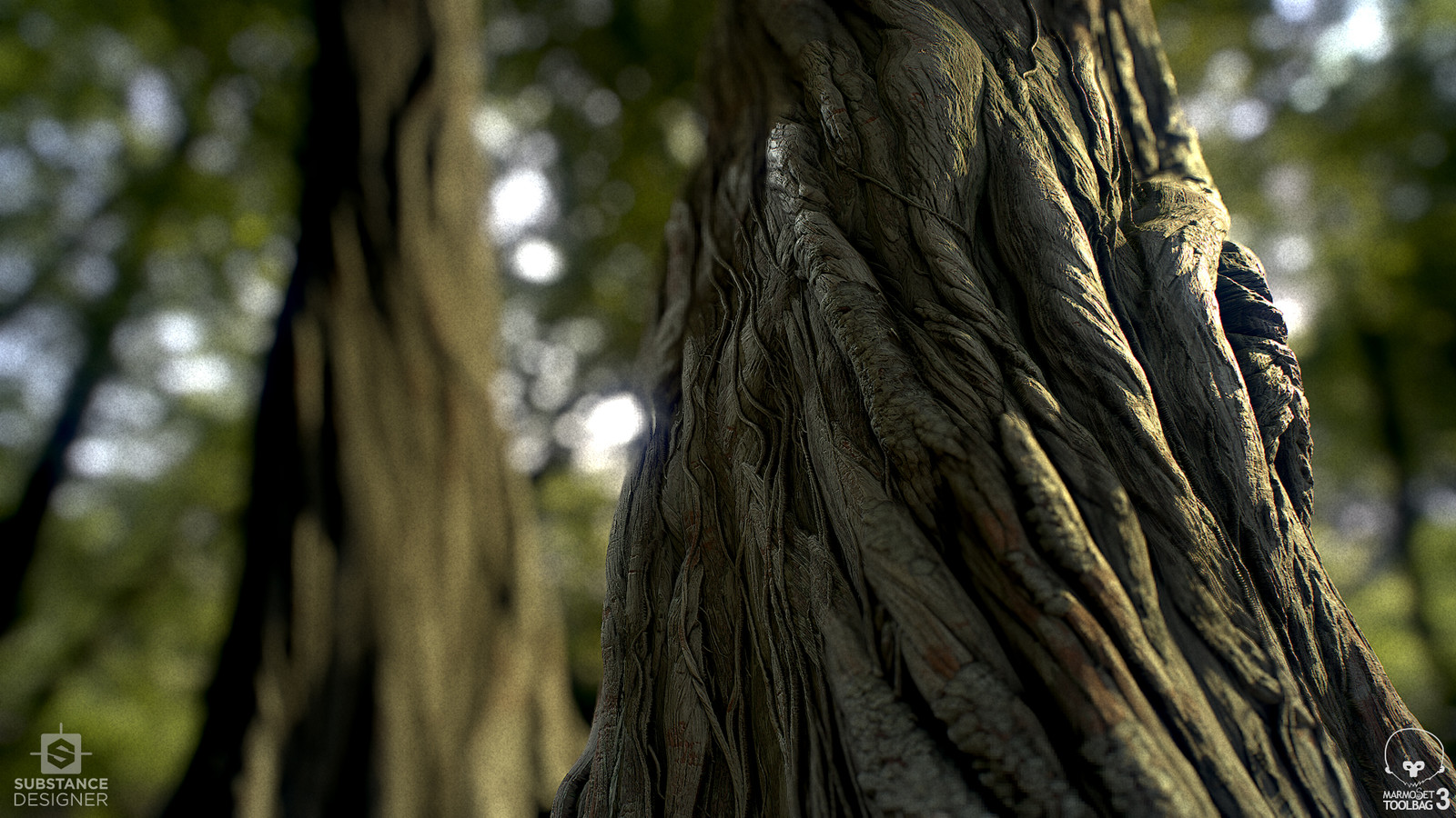 Daniel Thiger - Gnarly Tree Trunk