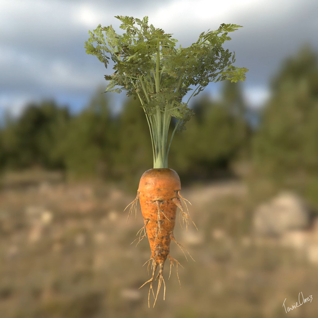 ArtStation - Carrot