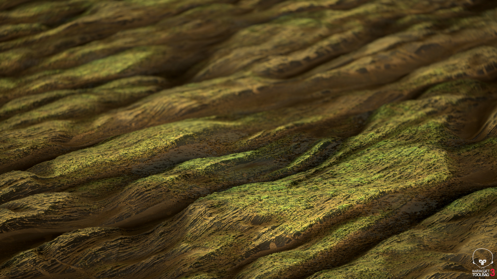 ArtStation - Tree Bark Study