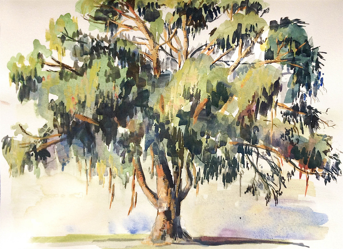 ArtStation - Plein Air Tree Studies