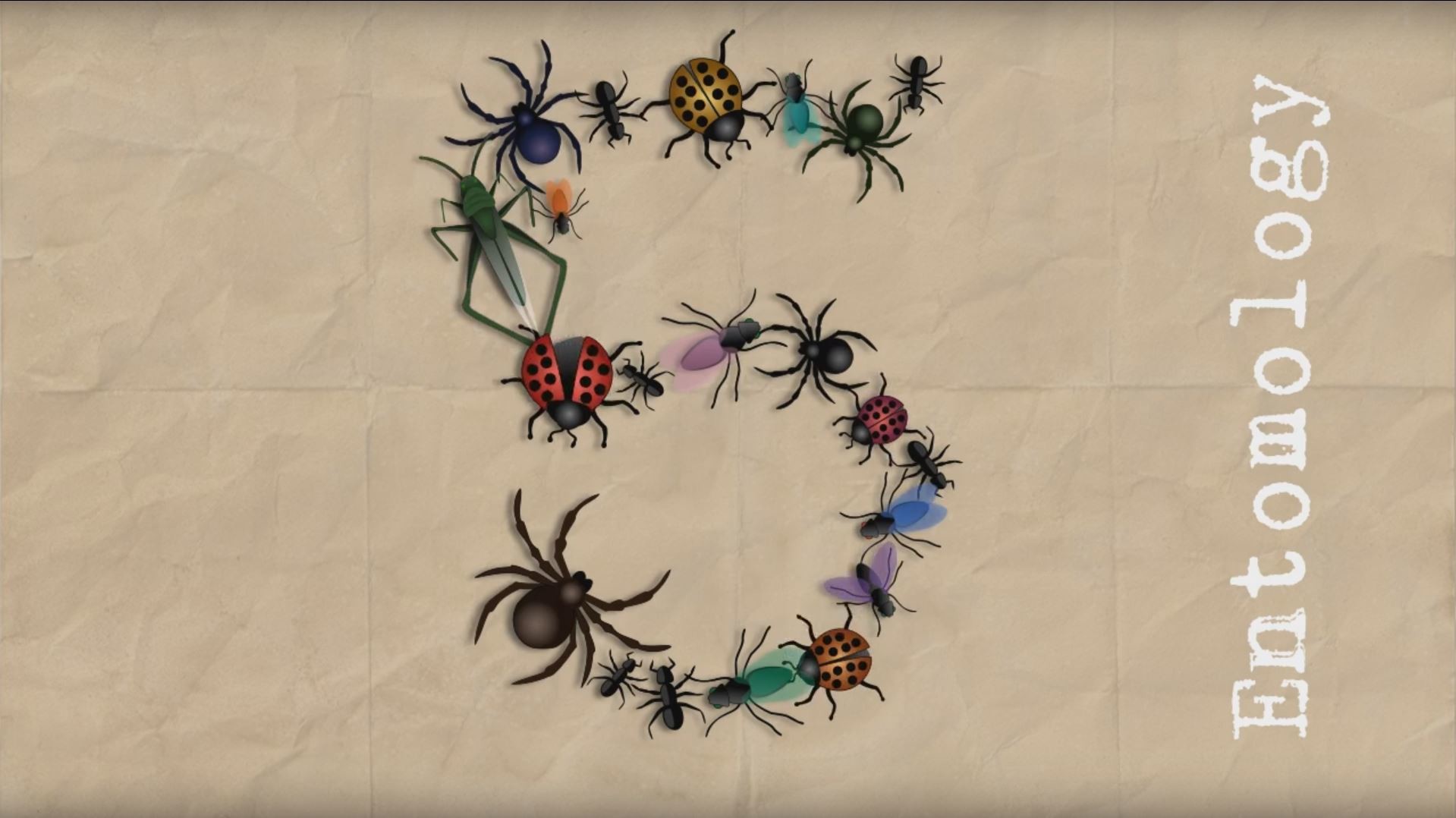 Paris Alexandra - "OLOGY" - Countdown Animation (2016)