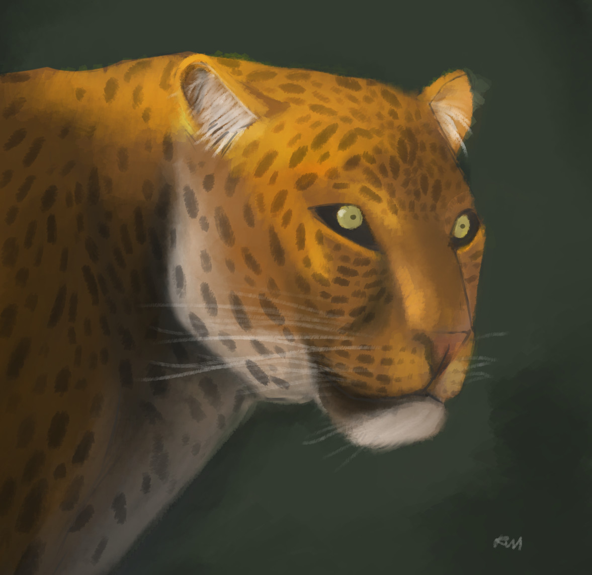 ArtStation - leopard