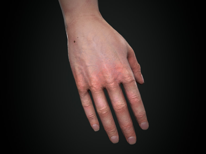 Laura Schäfer - Texture for a Male Hand