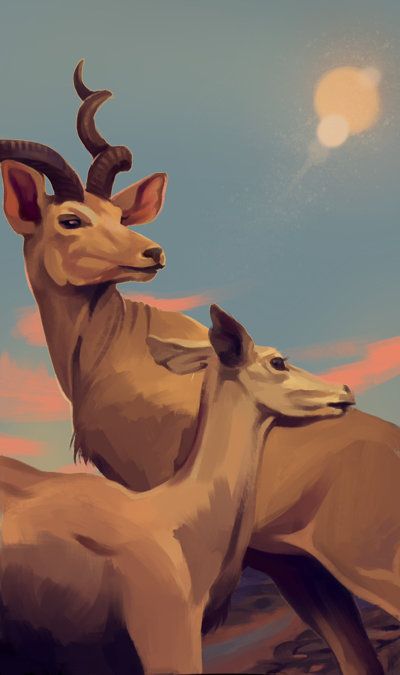 ArtStation - Antelope Study