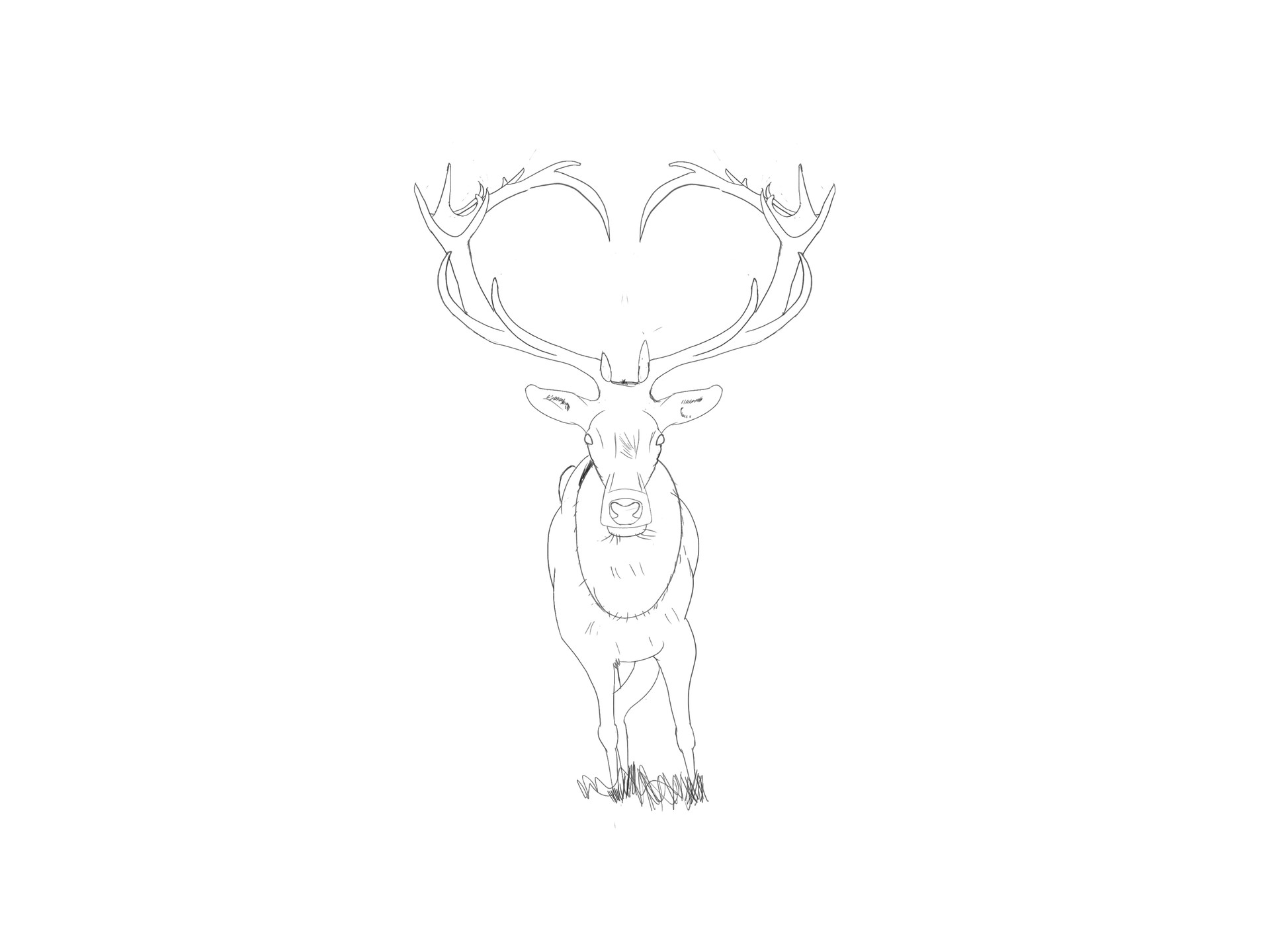ArtStation - Deer Line Work