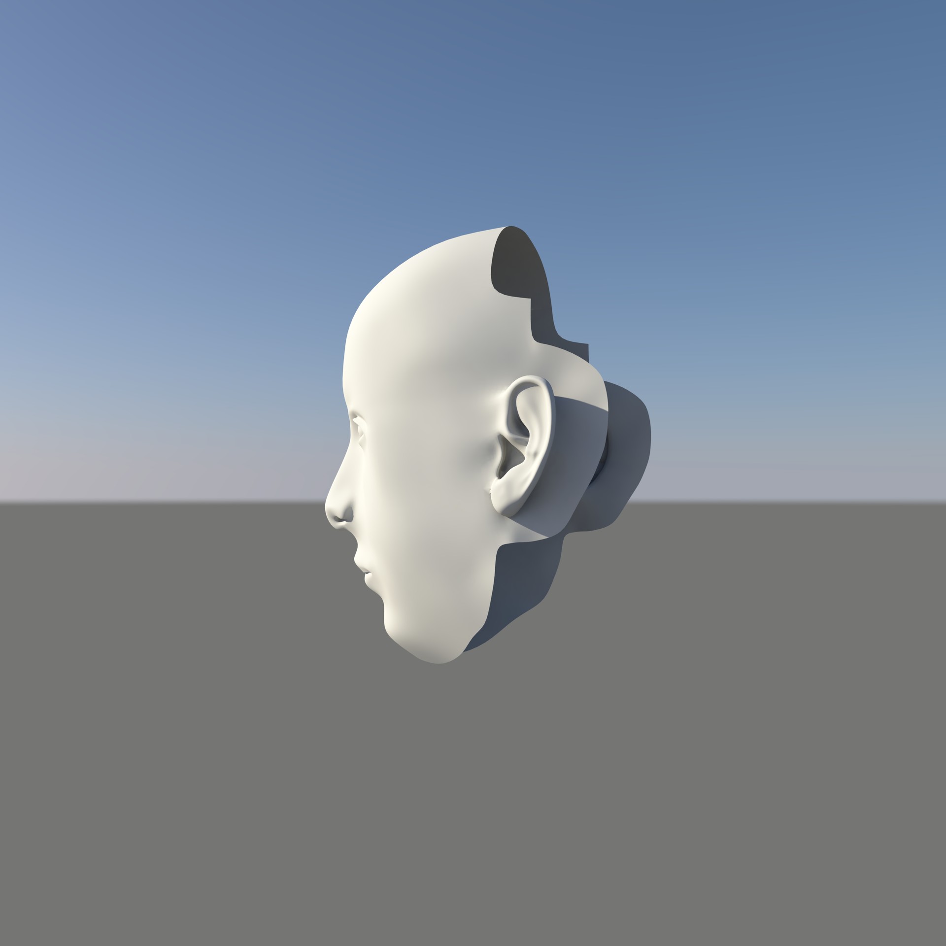 Rudra Nimesh - FACE plane