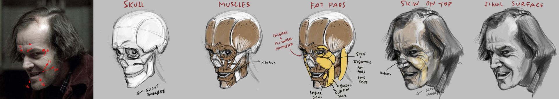 Luís Belerique - Scott Eaton Portraiture and Facial Anatomy course homework assignments