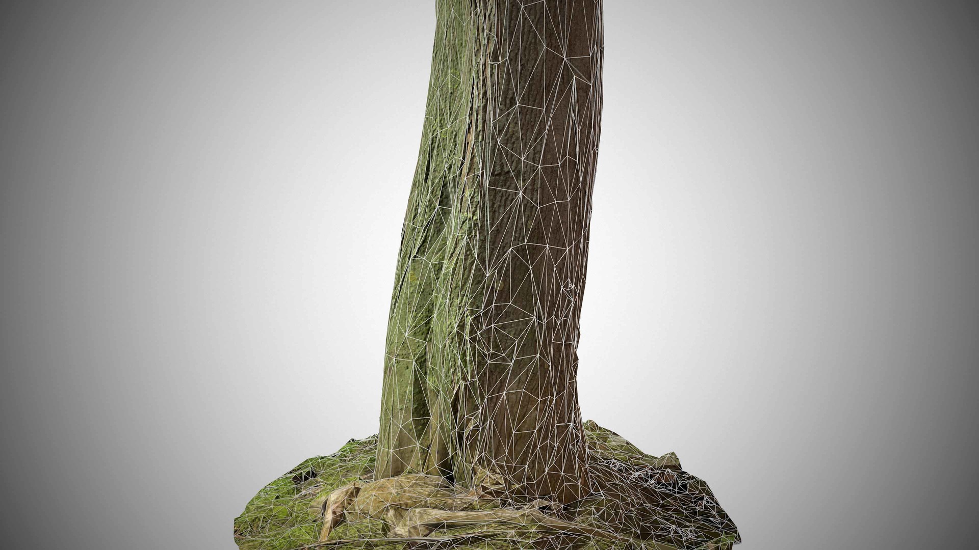 Leon - Photogrammetry Tree