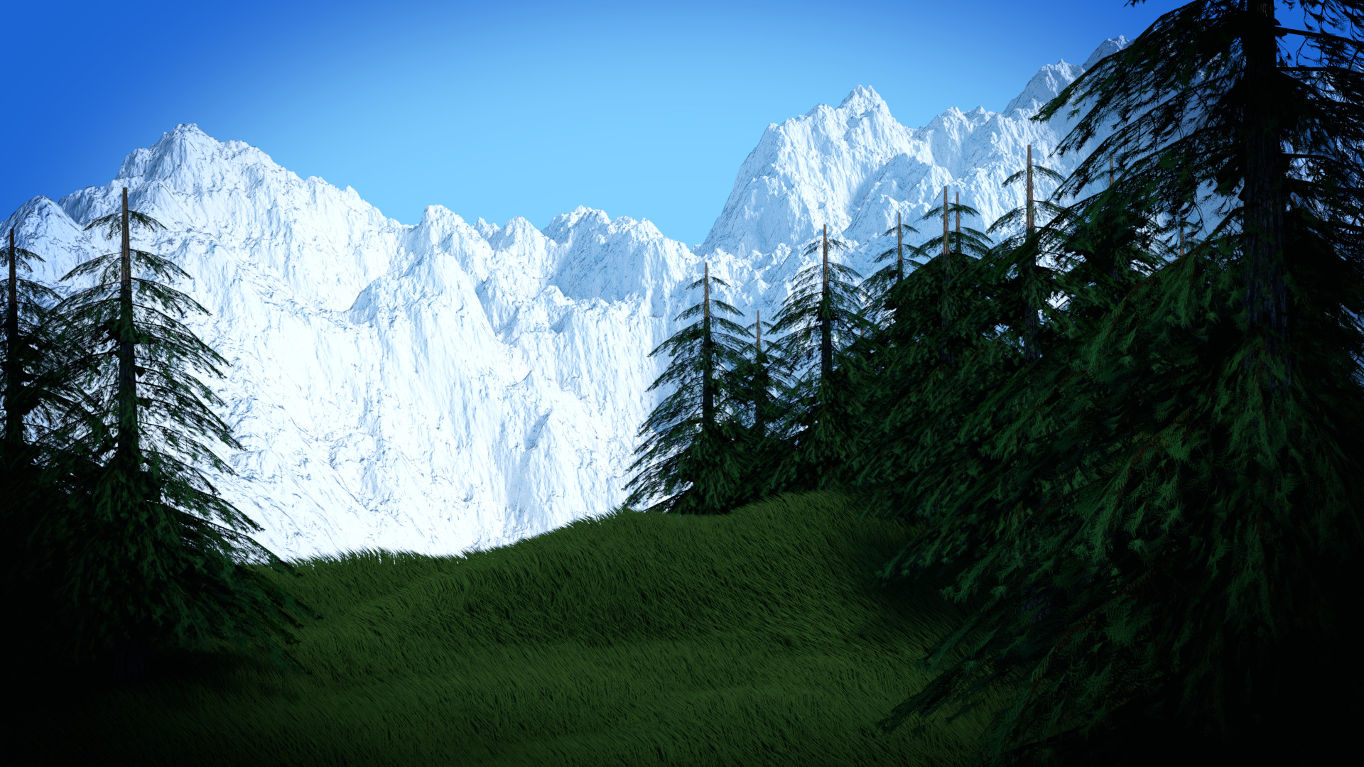 Vincent Robert - Landscape : trees and mountains