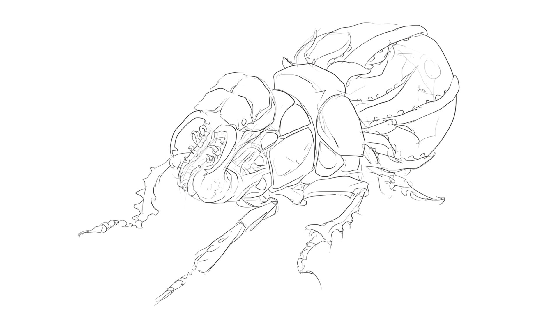 Ten Legged Fleas Drawing
