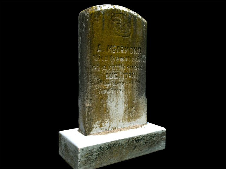 ArtStation - Rattle Snake Grave