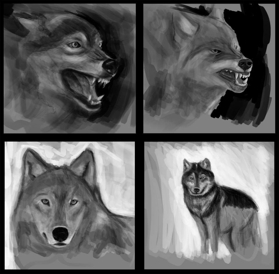 ArtStation - Wolf sketches