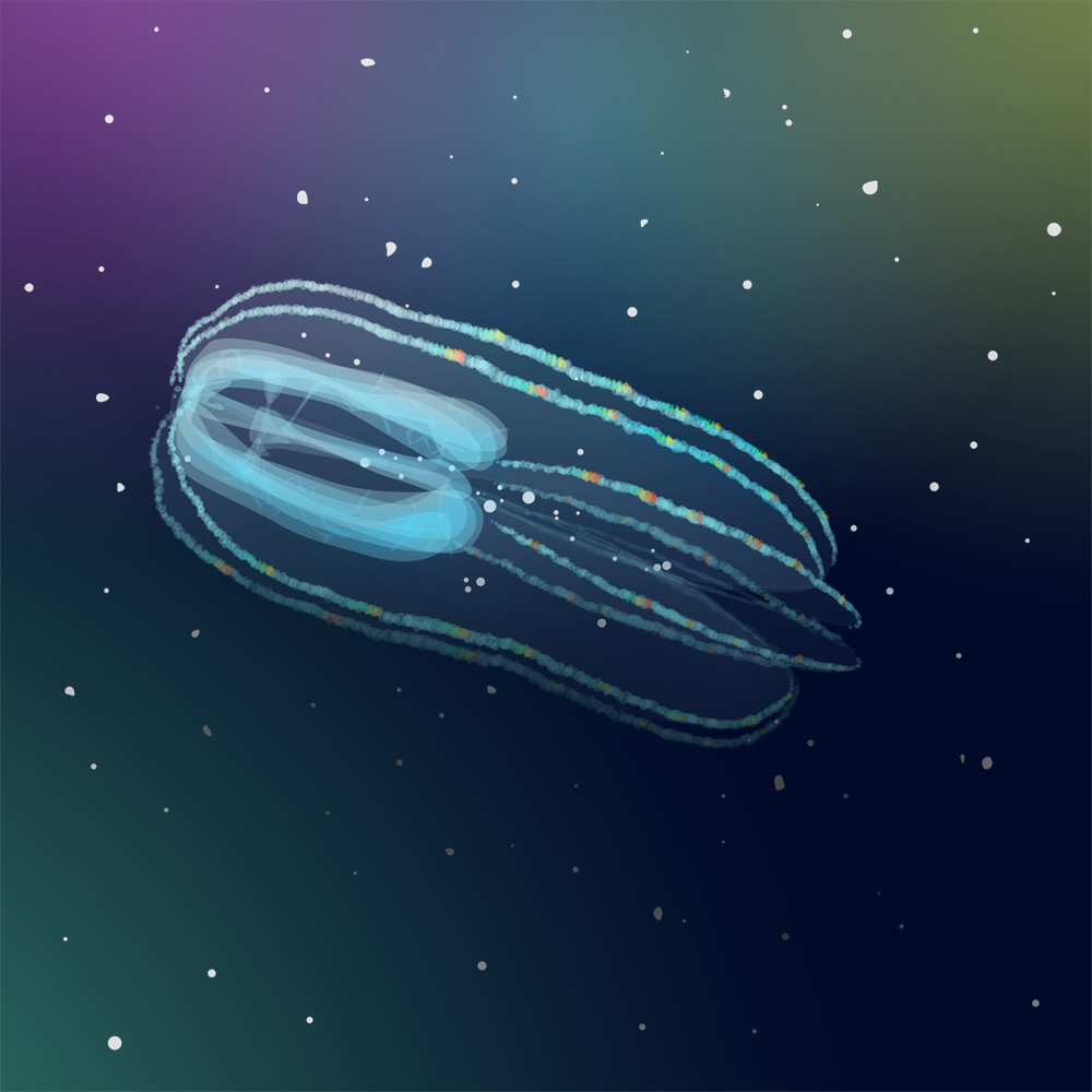 ArtStation - Bolinopsis infundibulum - comb jelly