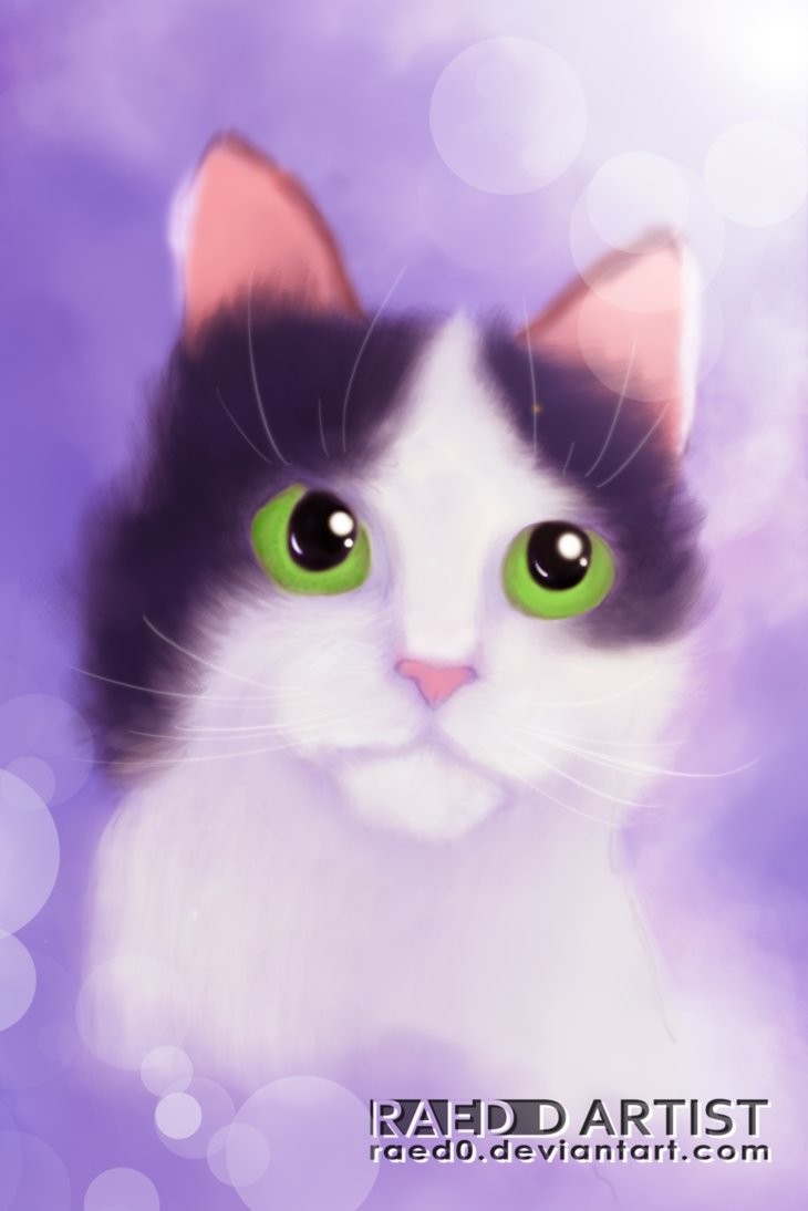 ArtStation - My cat Magic :) 4K