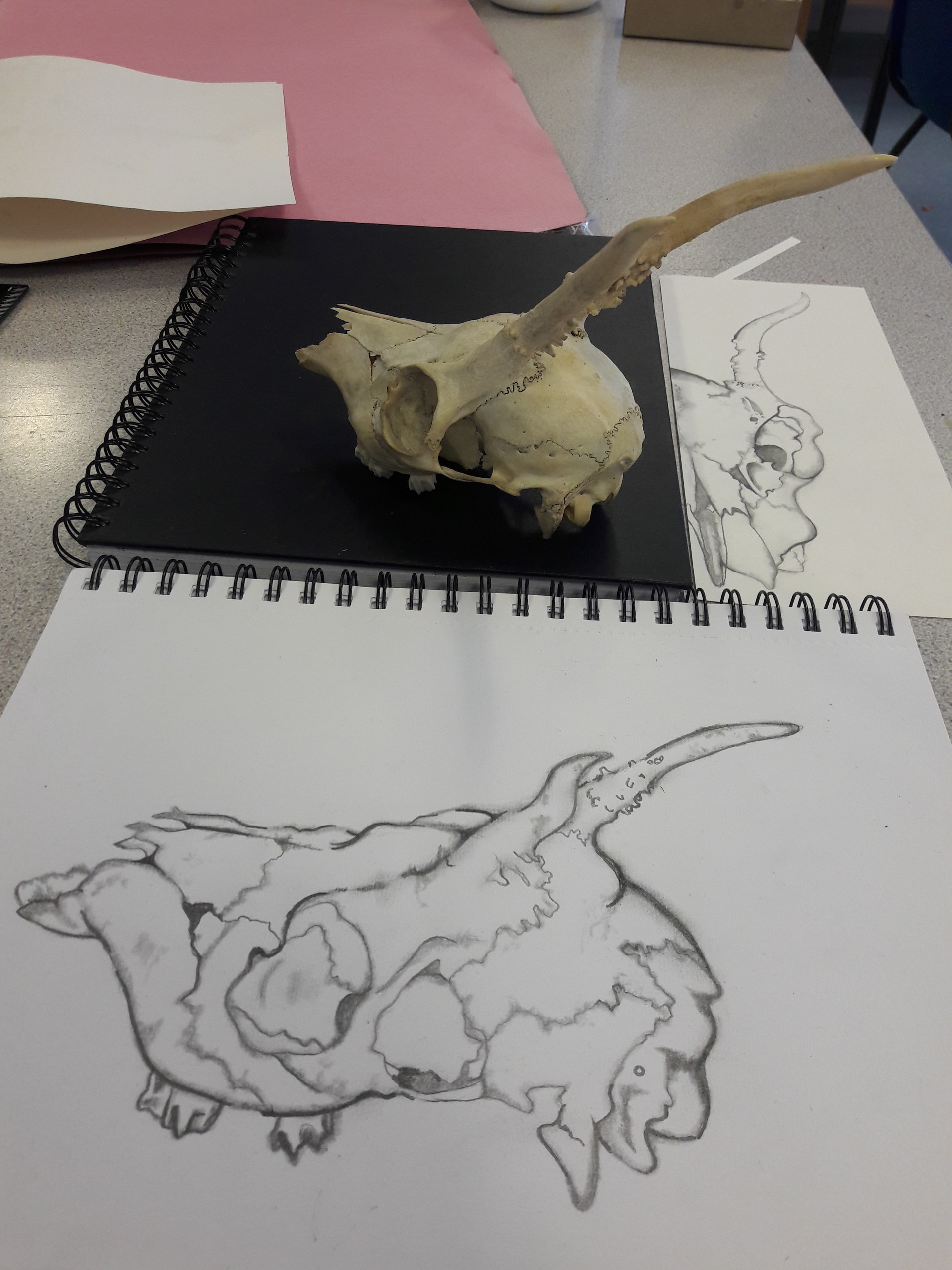 ArtStation - Observational Drawing