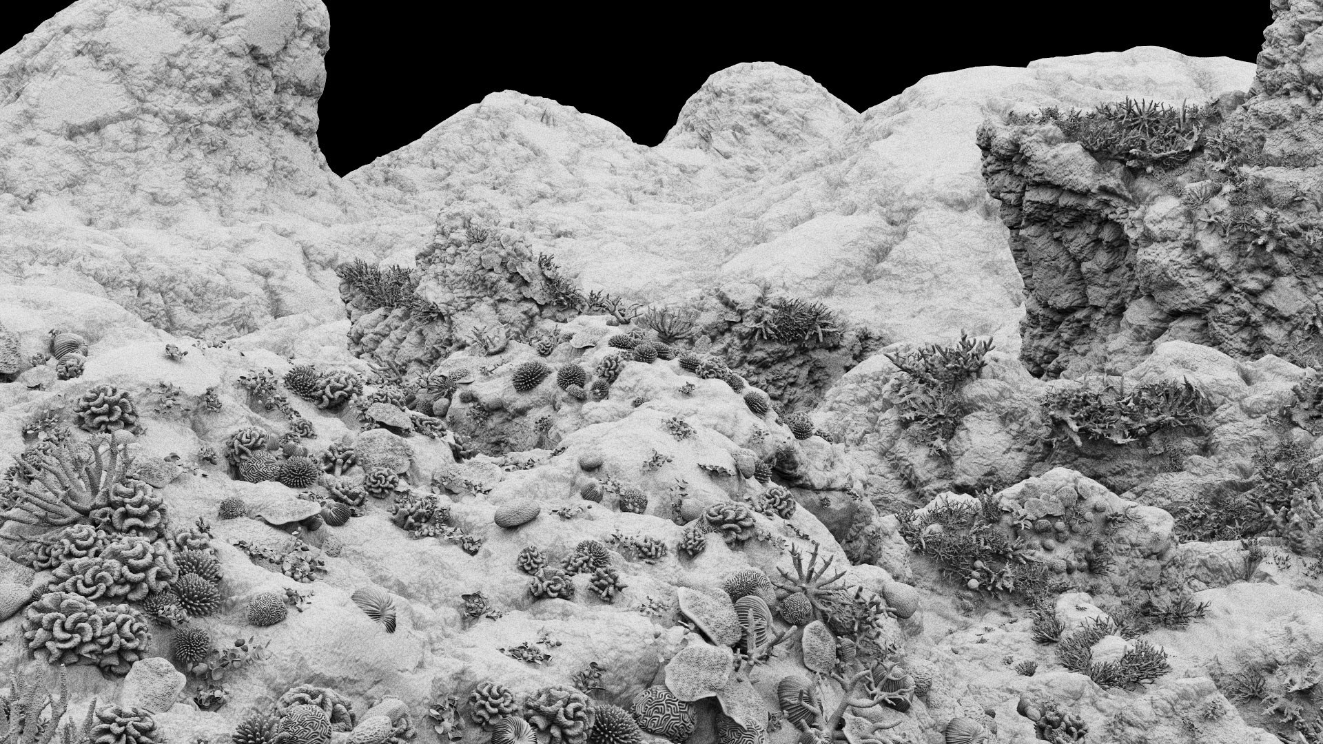 Samuel Enslin - Deep Sea Environment