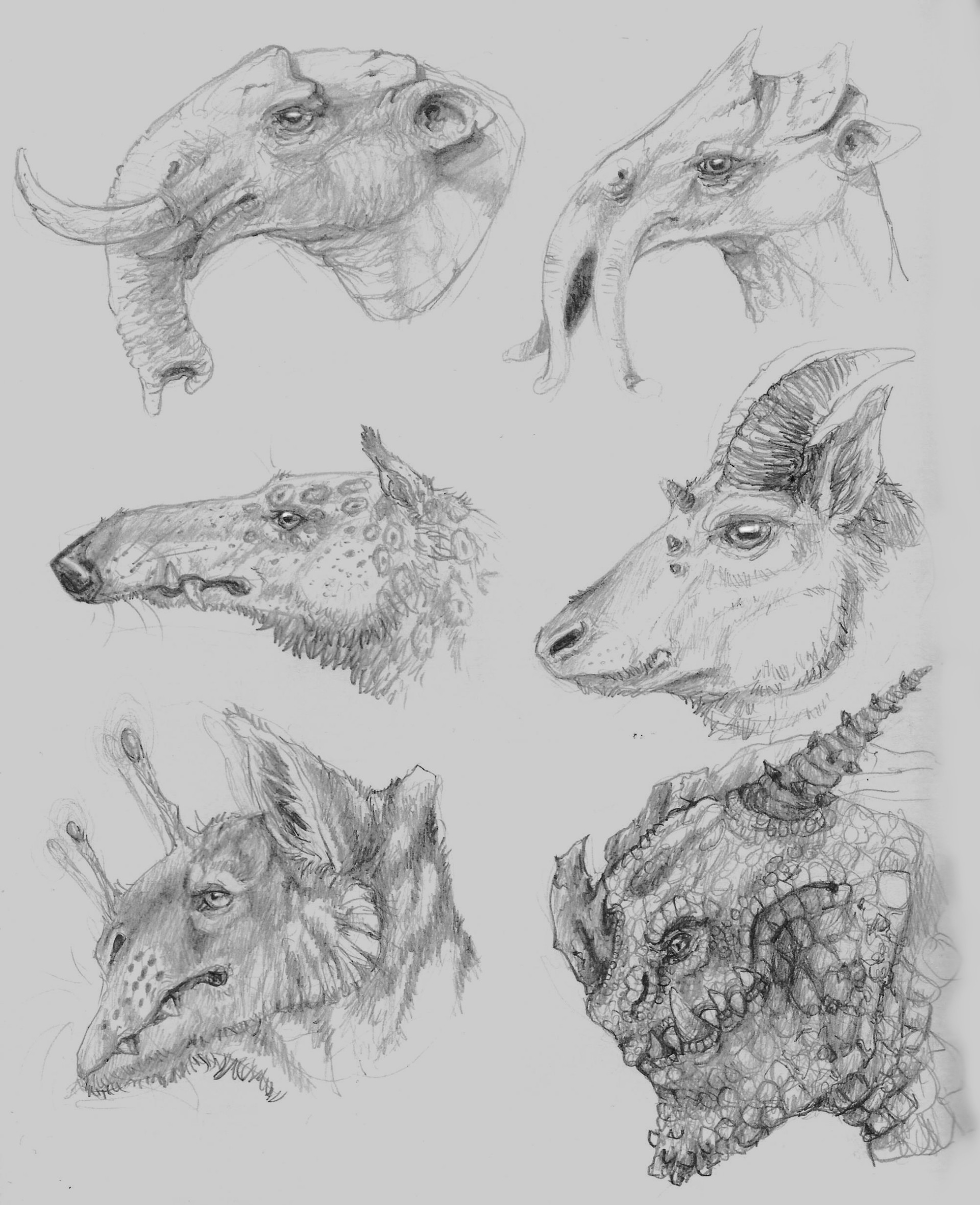 ArtStation - Creature Design