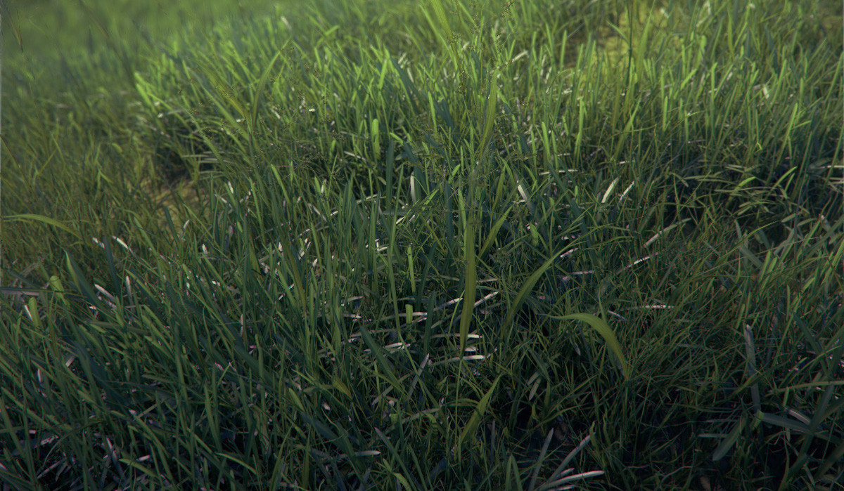 ArtStation - VizPeople Photorealistic Grass Tutorial